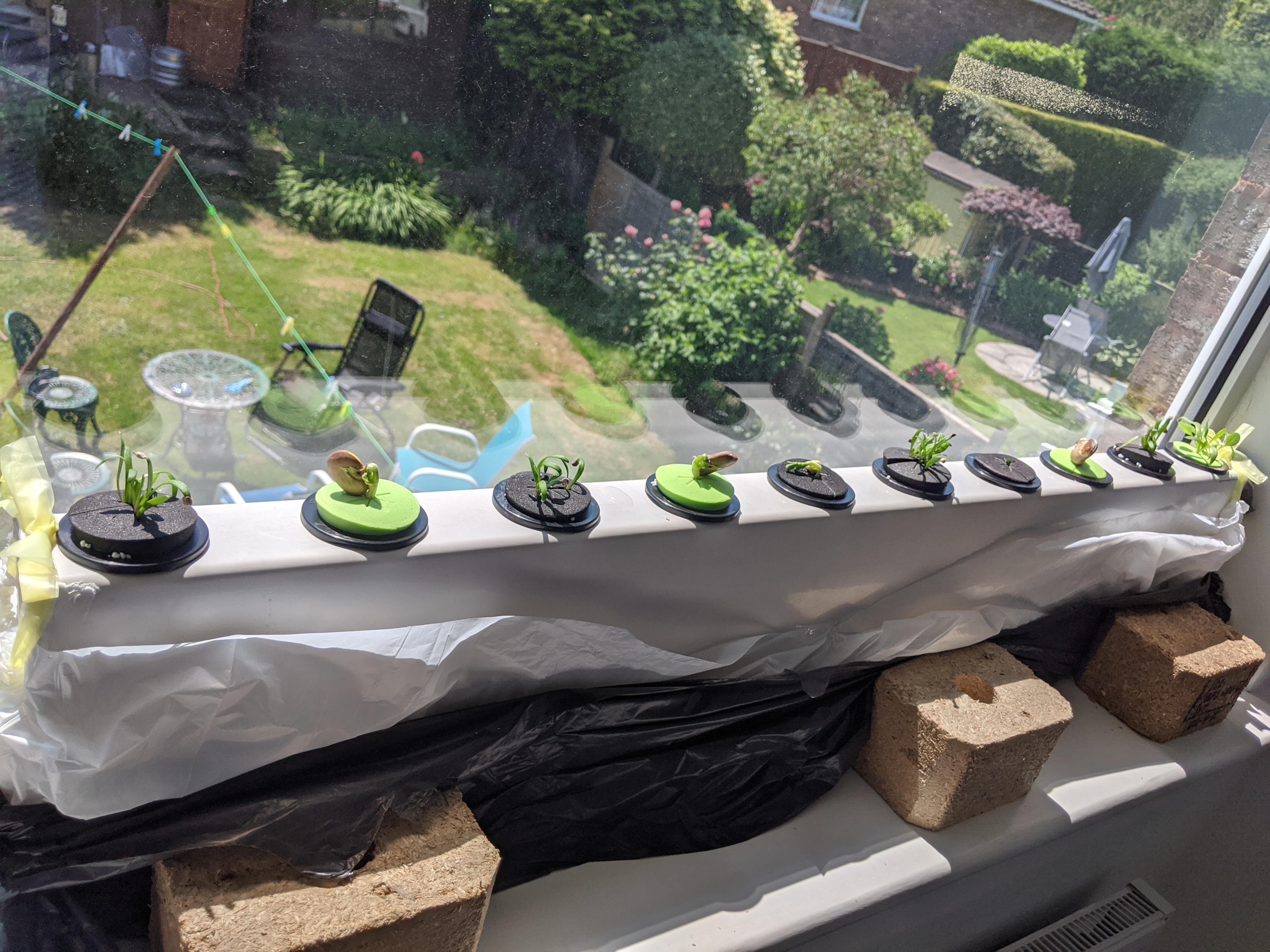 My first hydroponic system | Scrolller