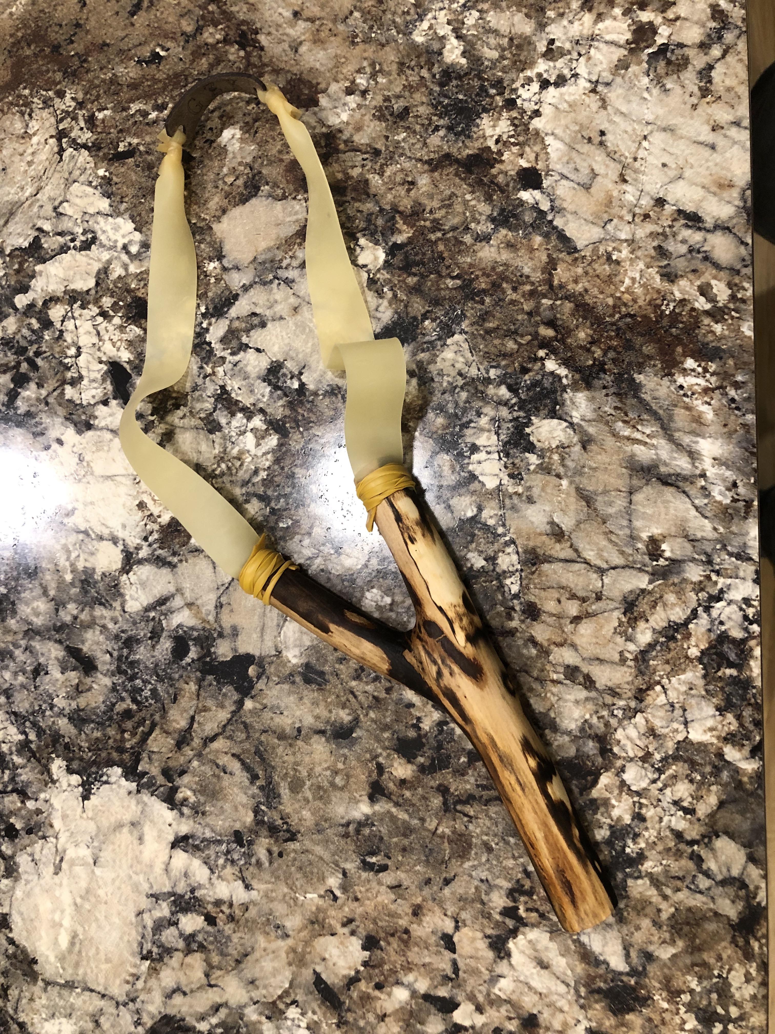 My first natural fork! | Scrolller