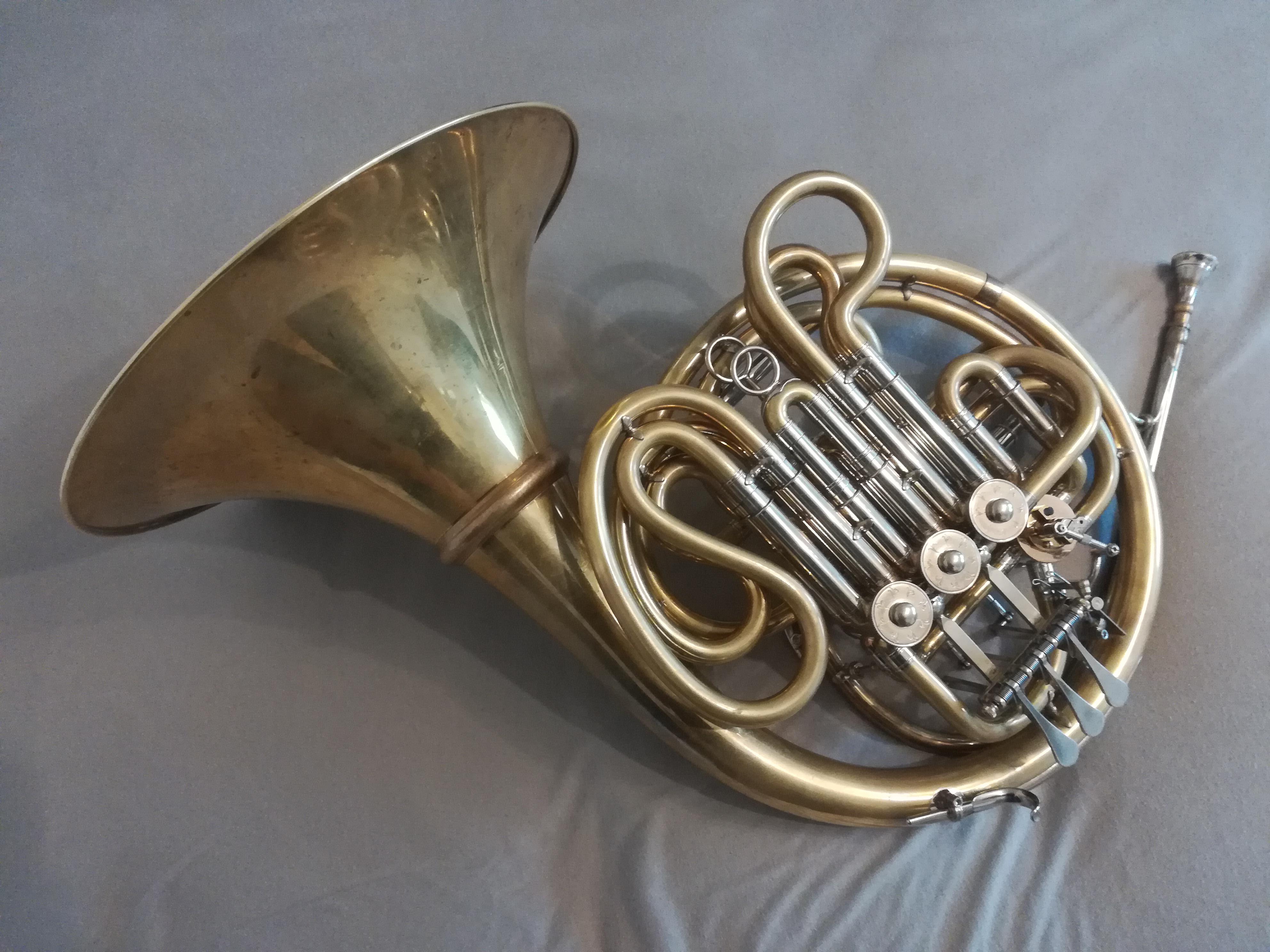 My first own horn! | Scrolller