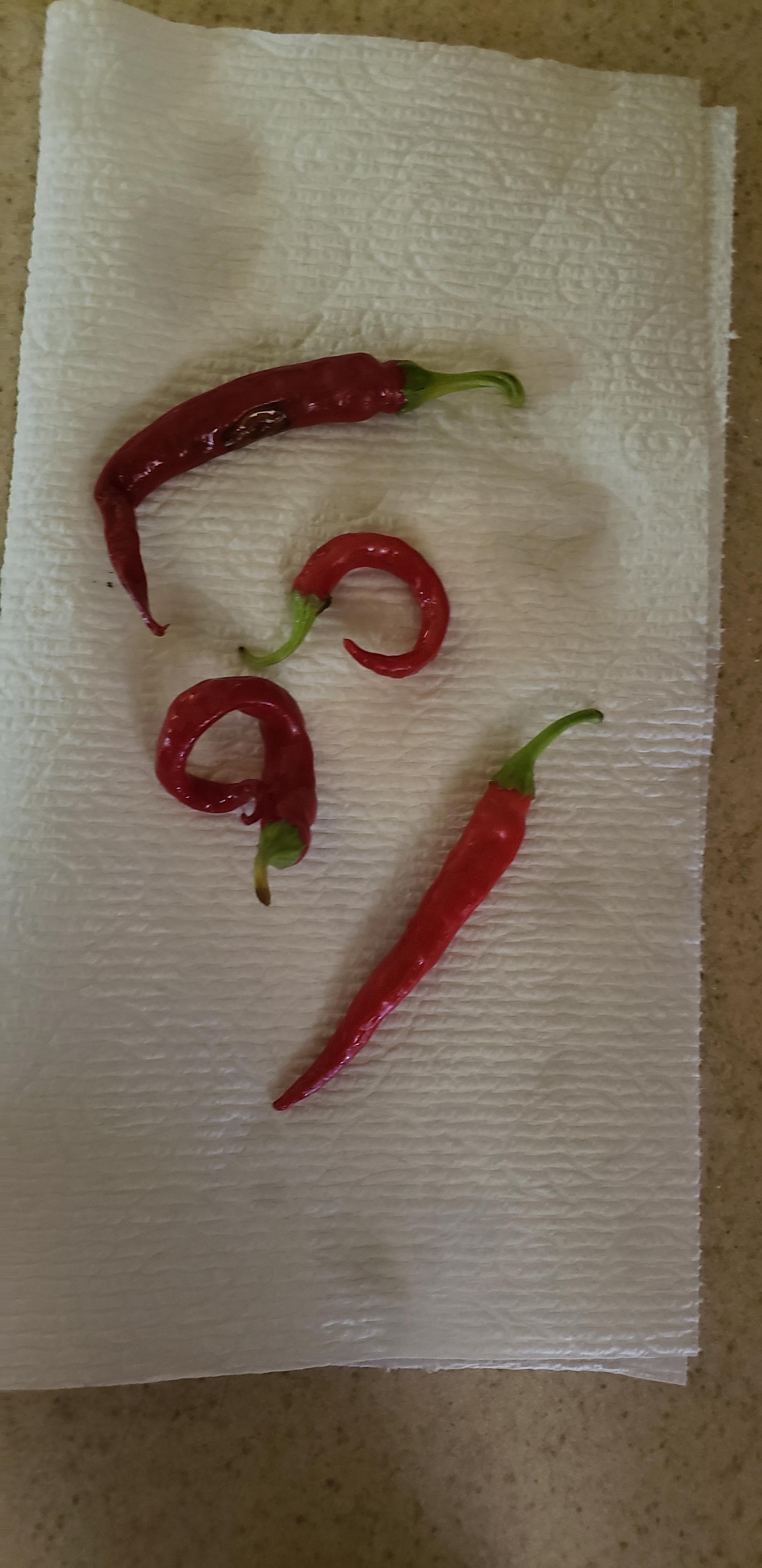 My first peppers 🏾😁 just washed | Scrolller