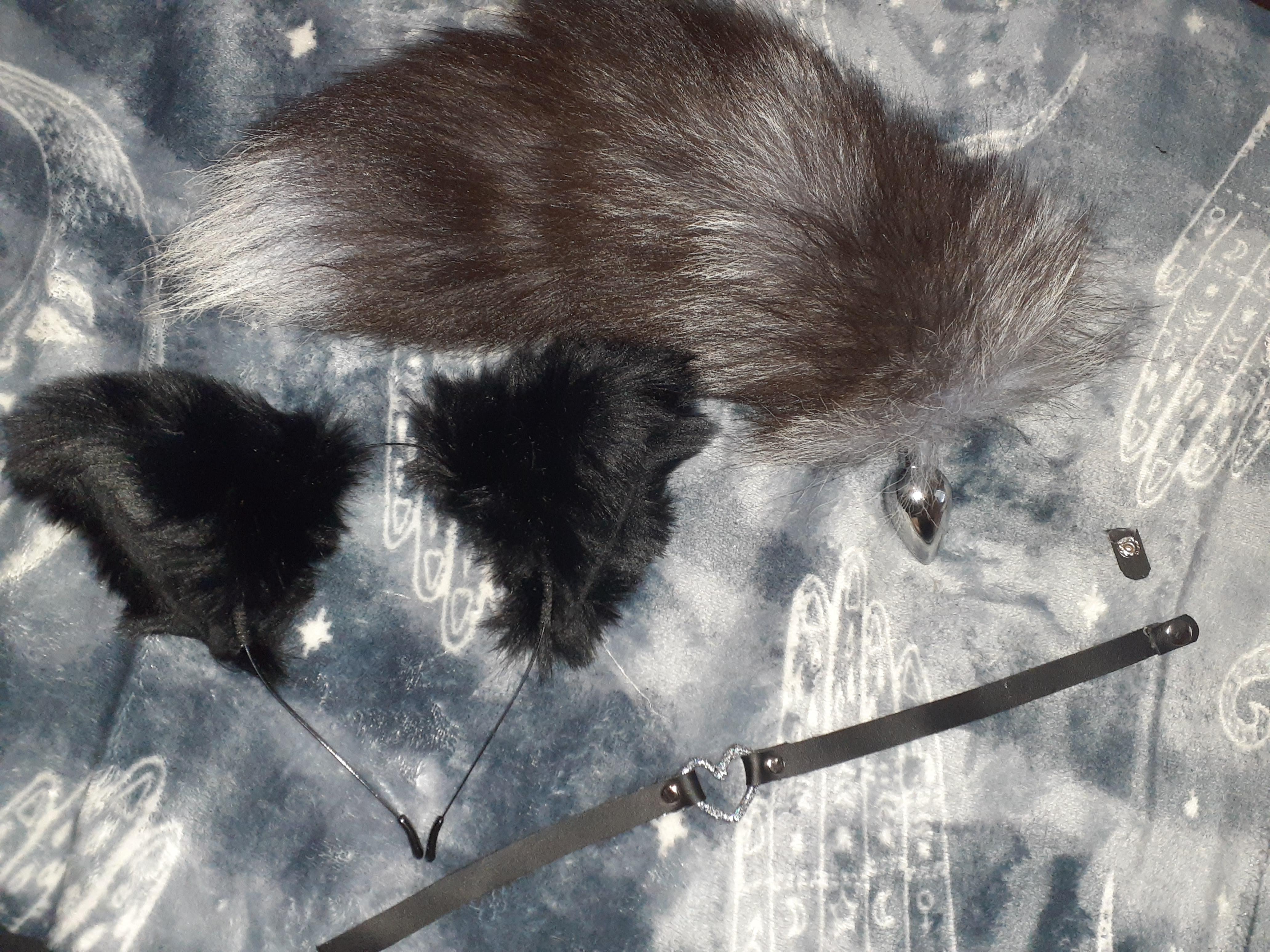 My first pet play set, babe and I tired our new tails tonight, much success lol | Scrolller