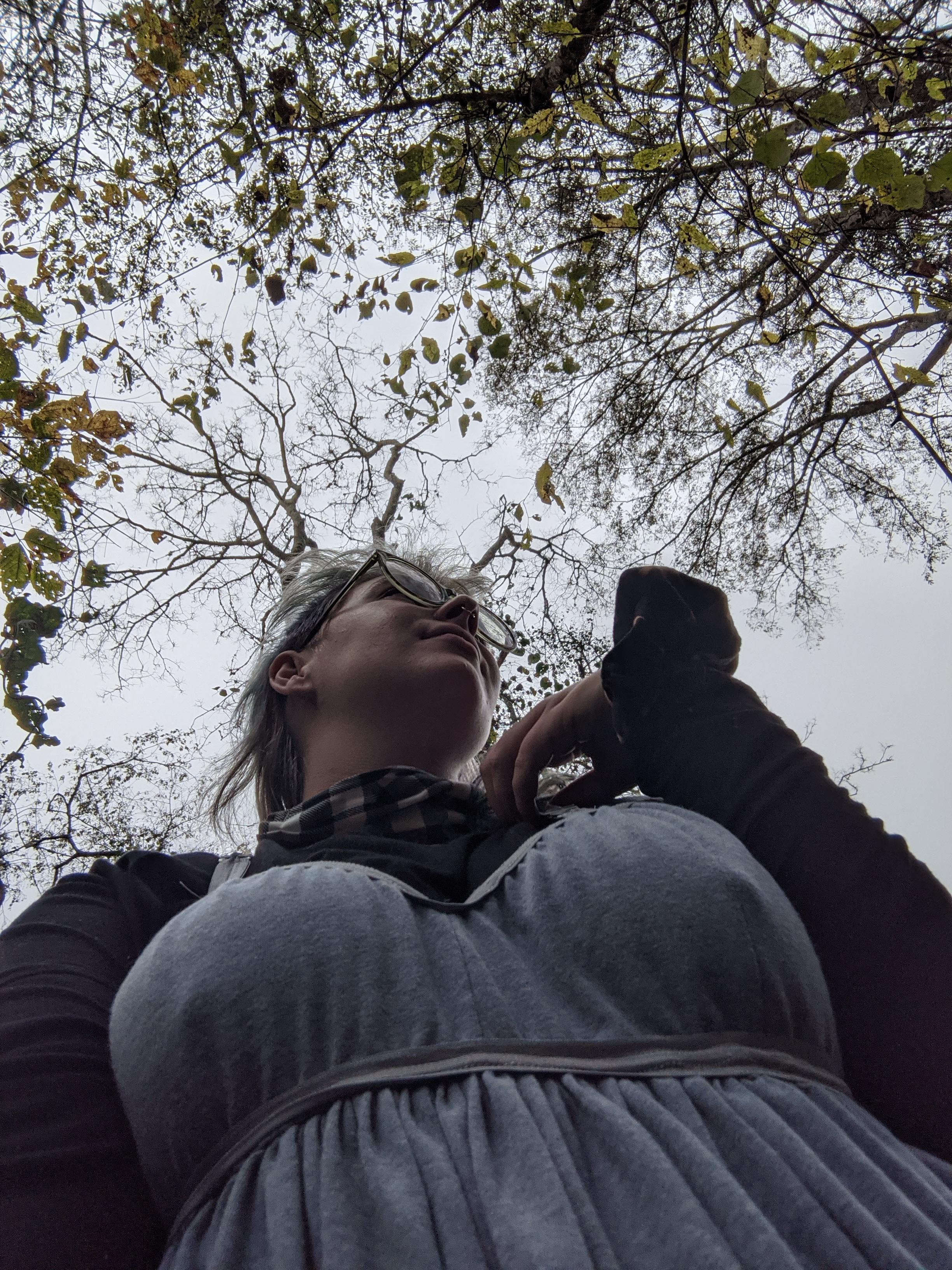 The view from below | Scrolller