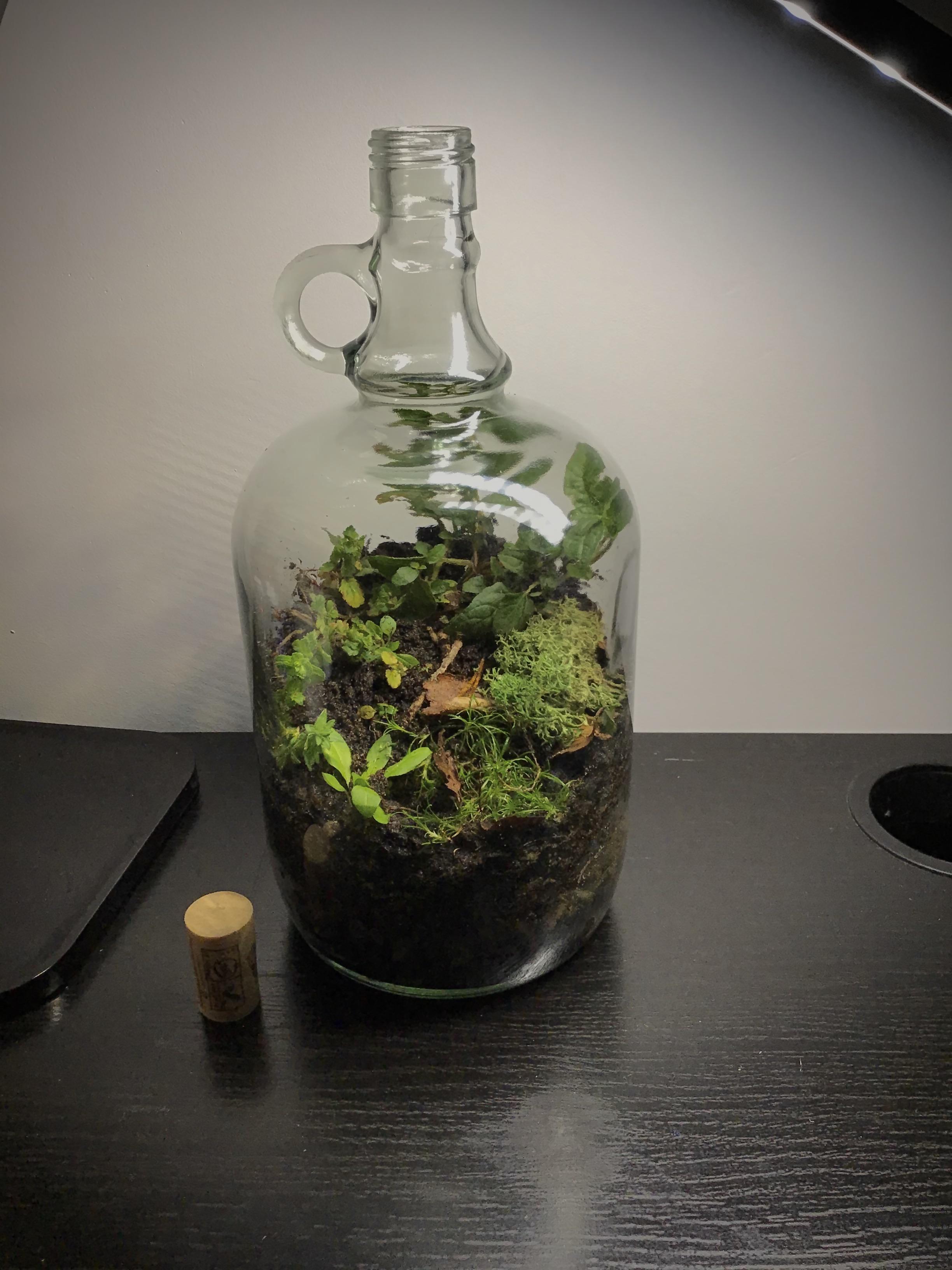 My first proper attempt! | Scrolller