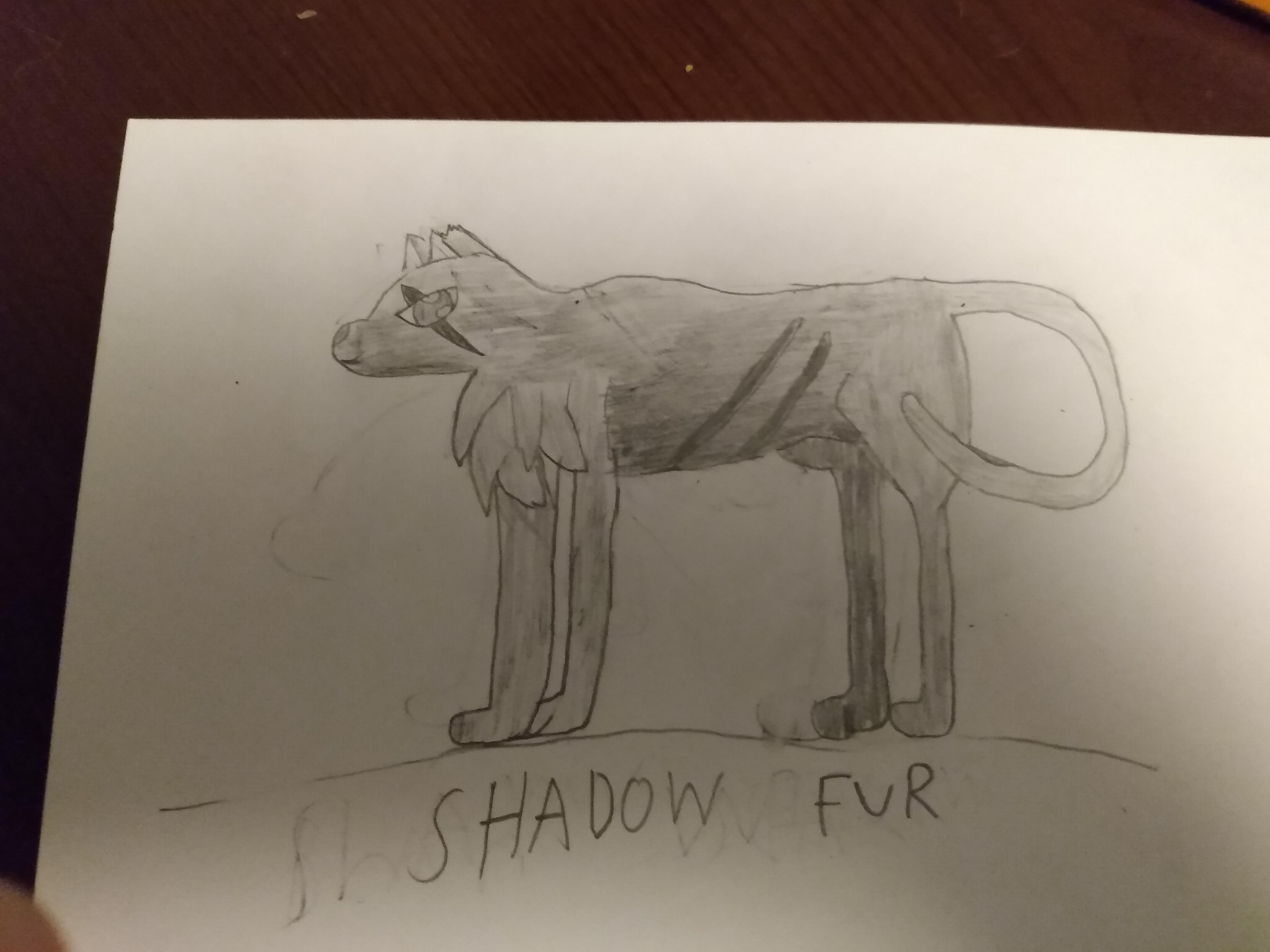 My first warriors drawing and my first OC | Scrolller