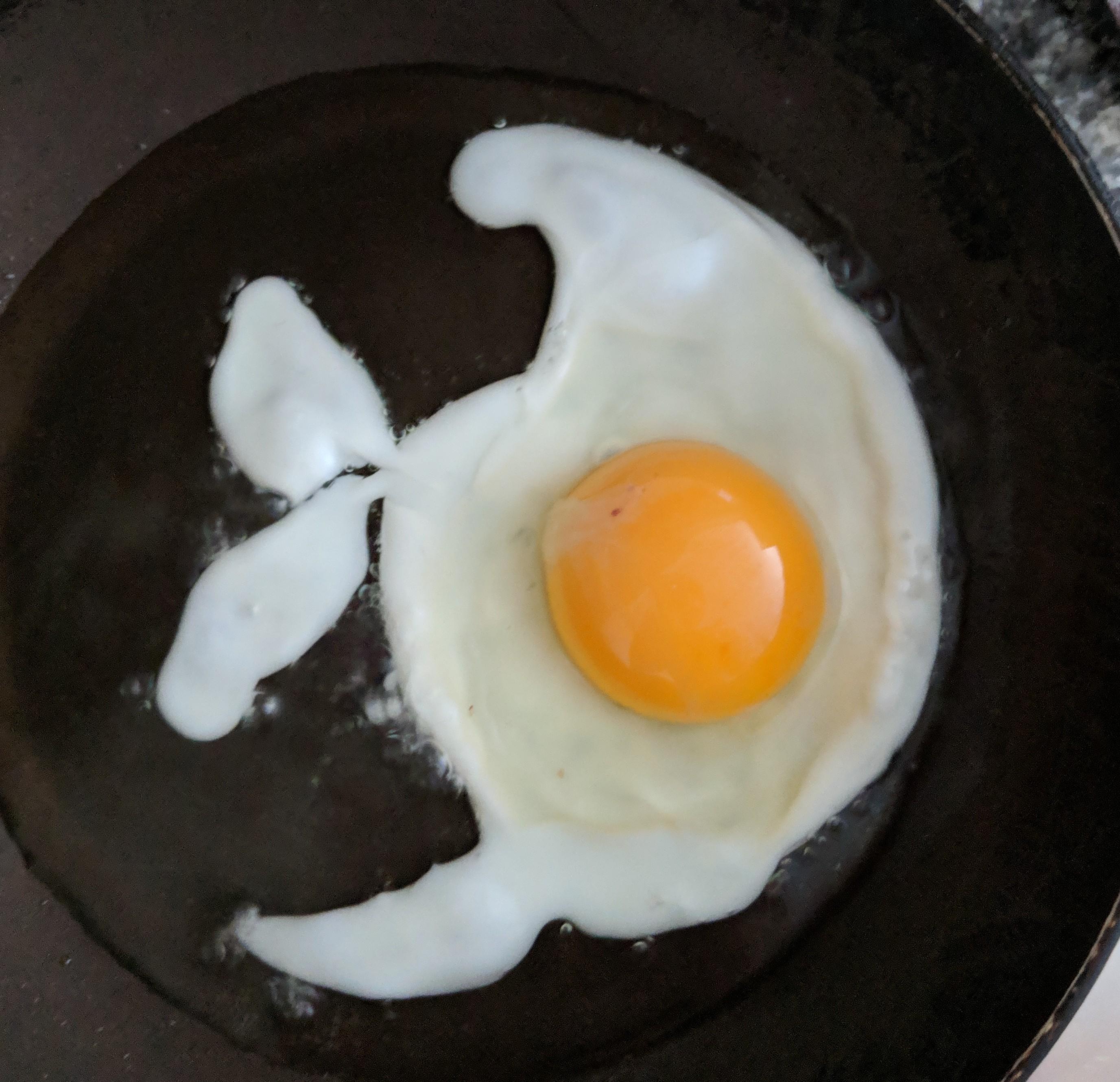 My fried egg turned into a fish as it spread out | Scrolller