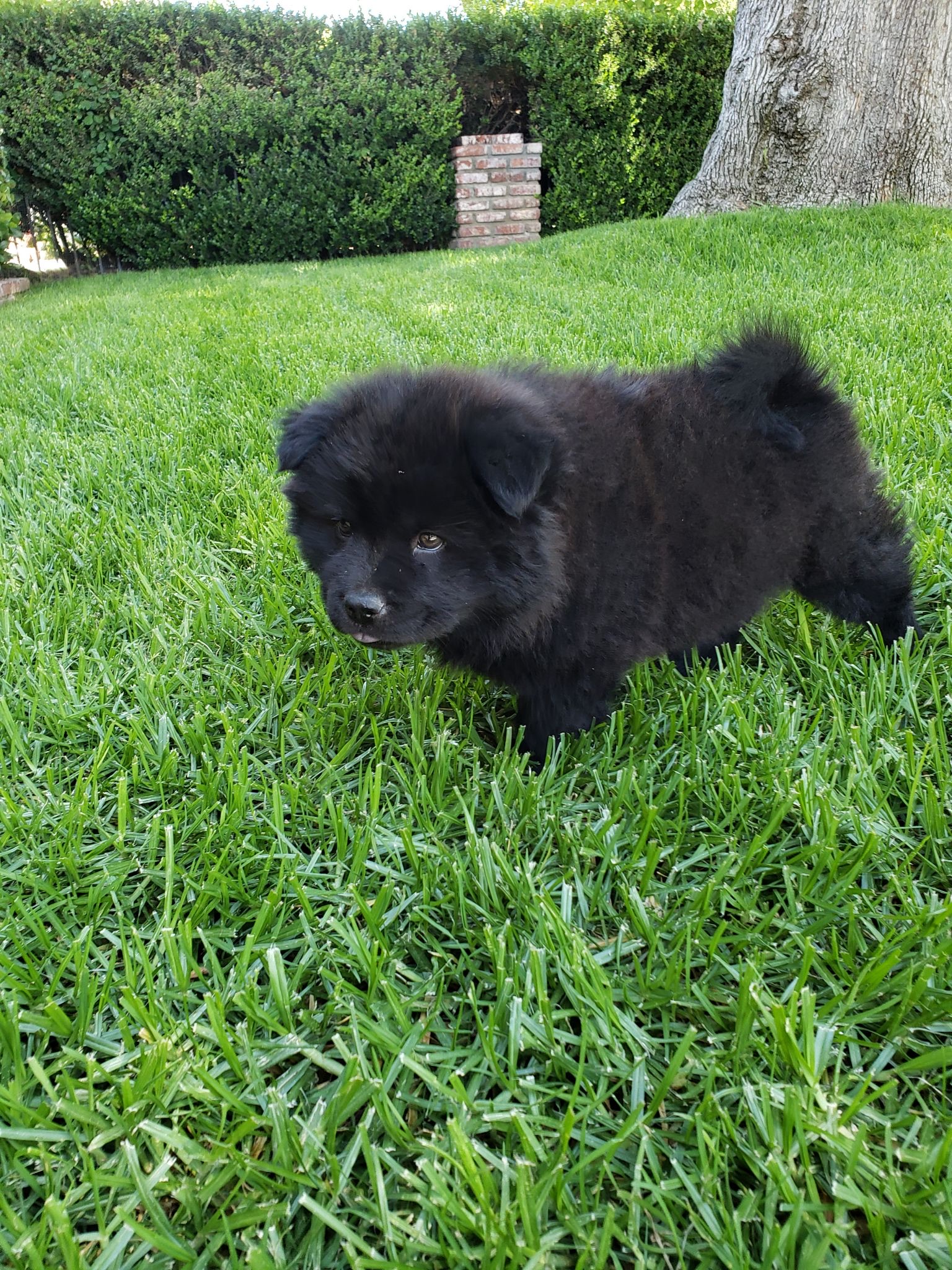 My future baby 💕 | Scrolller