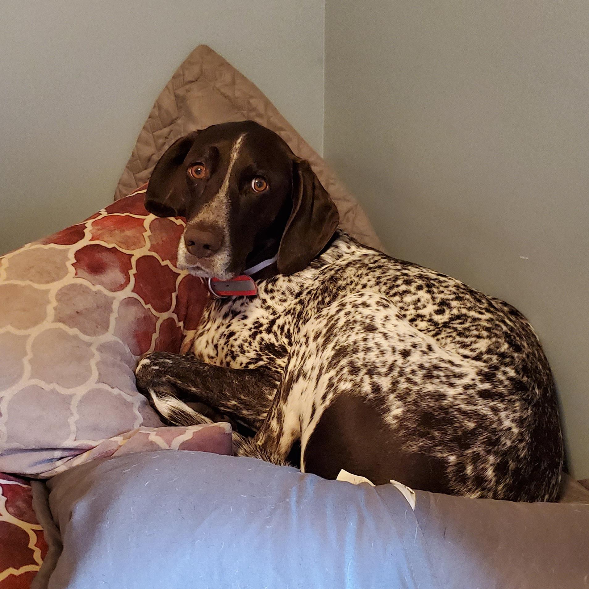 My George | Scrolller