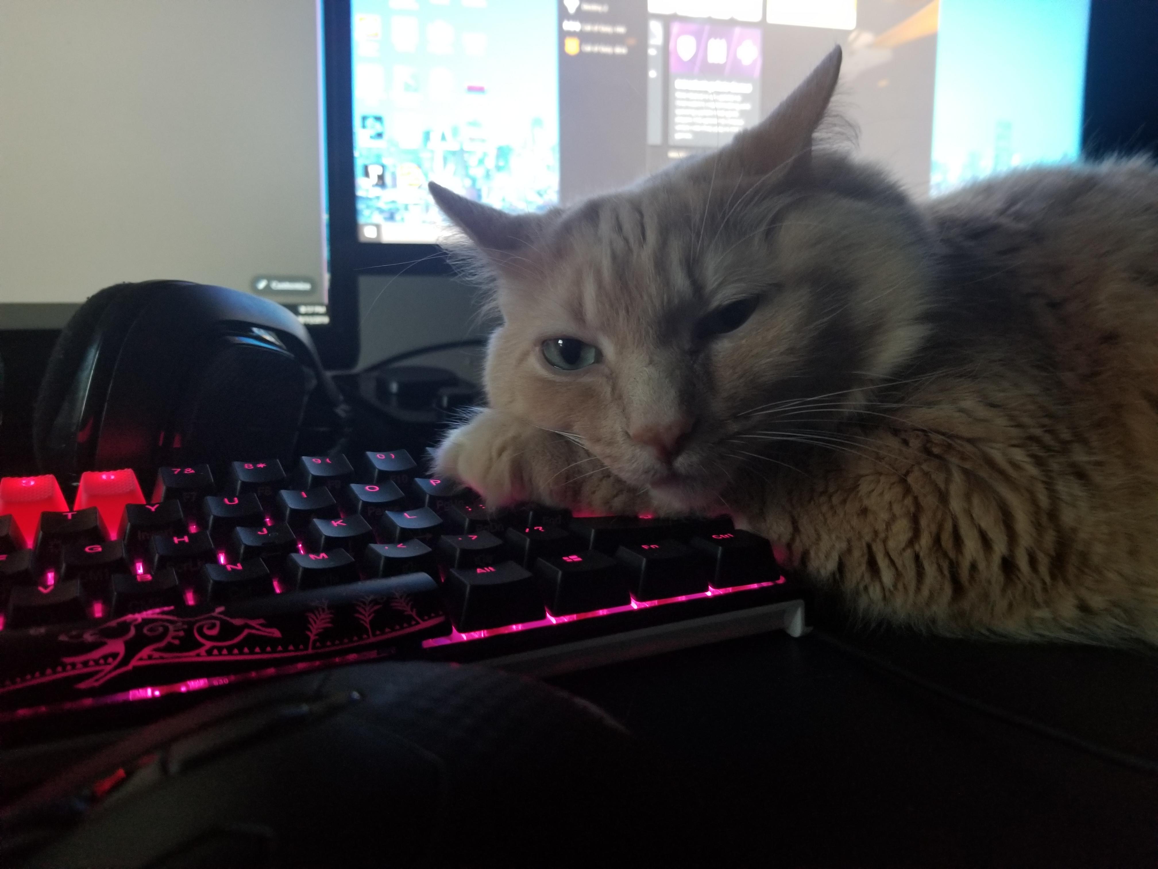 My goober | Scrolller