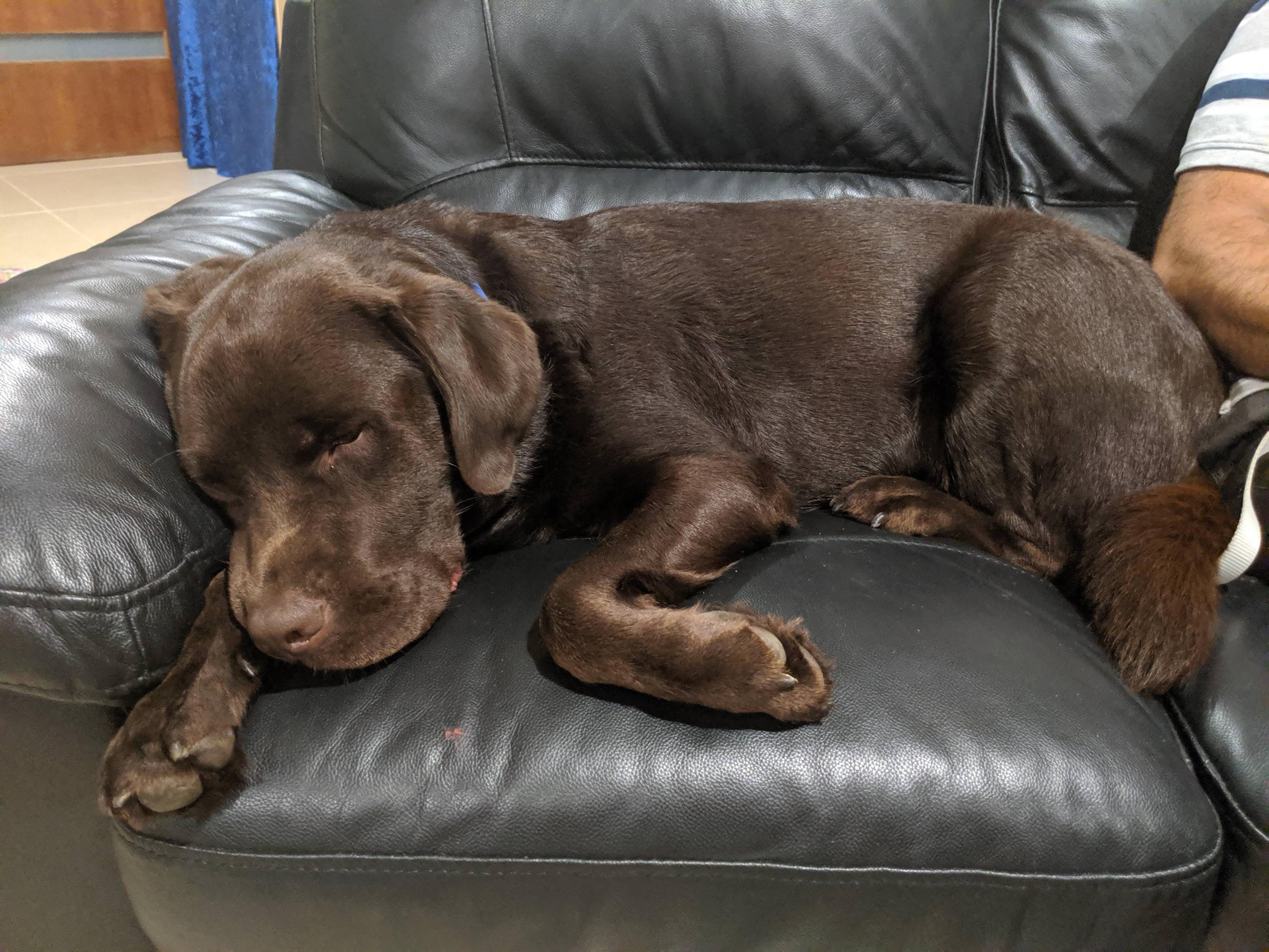 My gorgeous boy | Scrolller