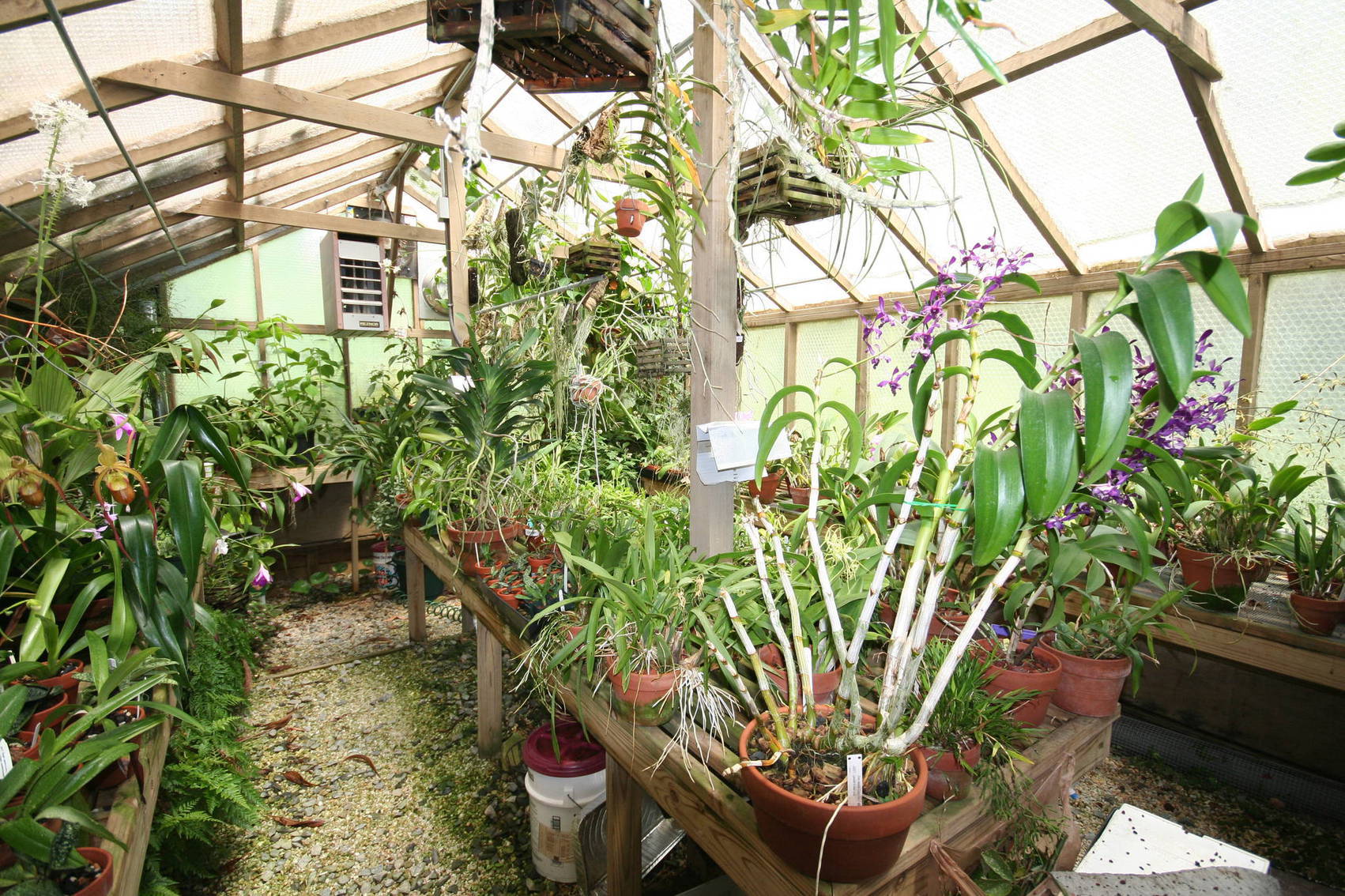 My Greenhouse | Scrolller