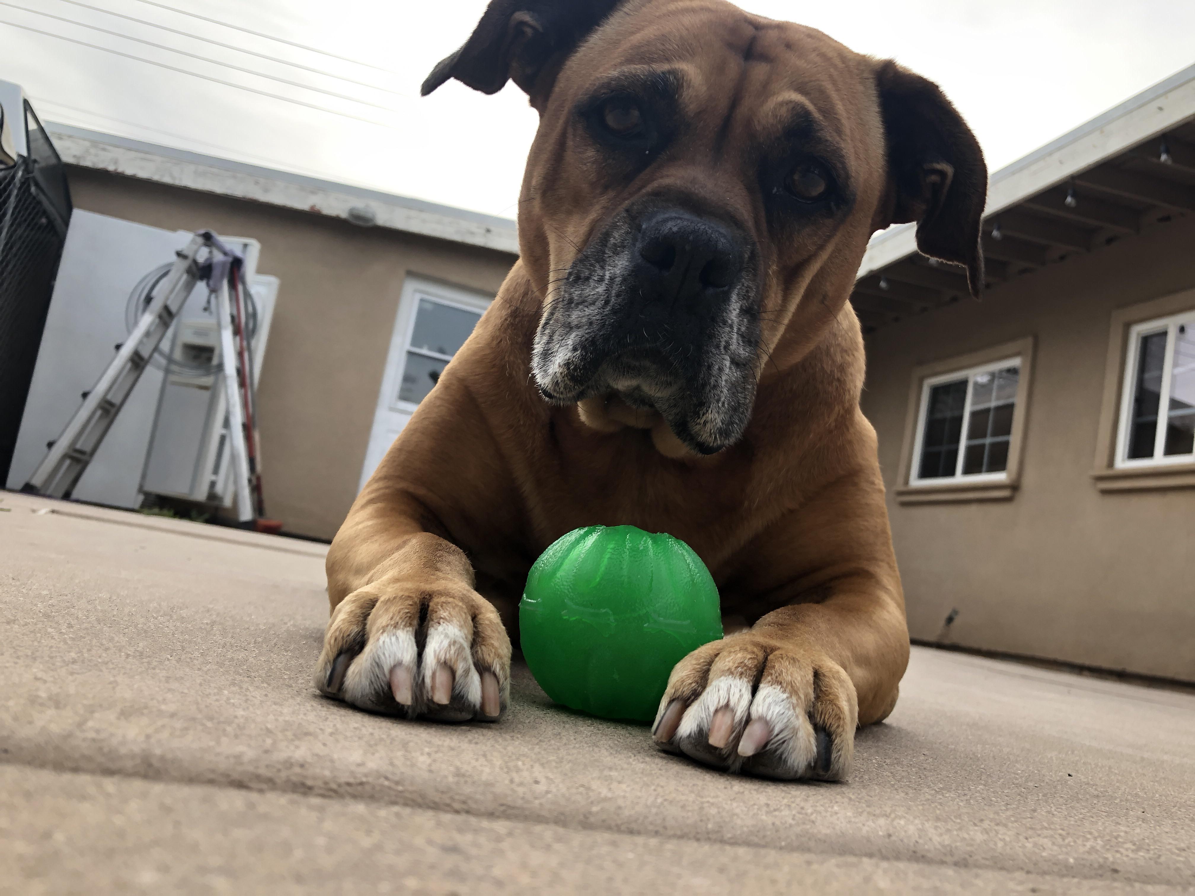 My grumpy girl | Scrolller