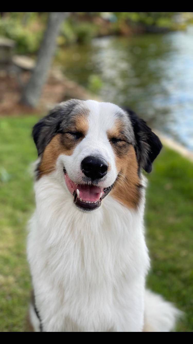 My handsome boy | Scrolller