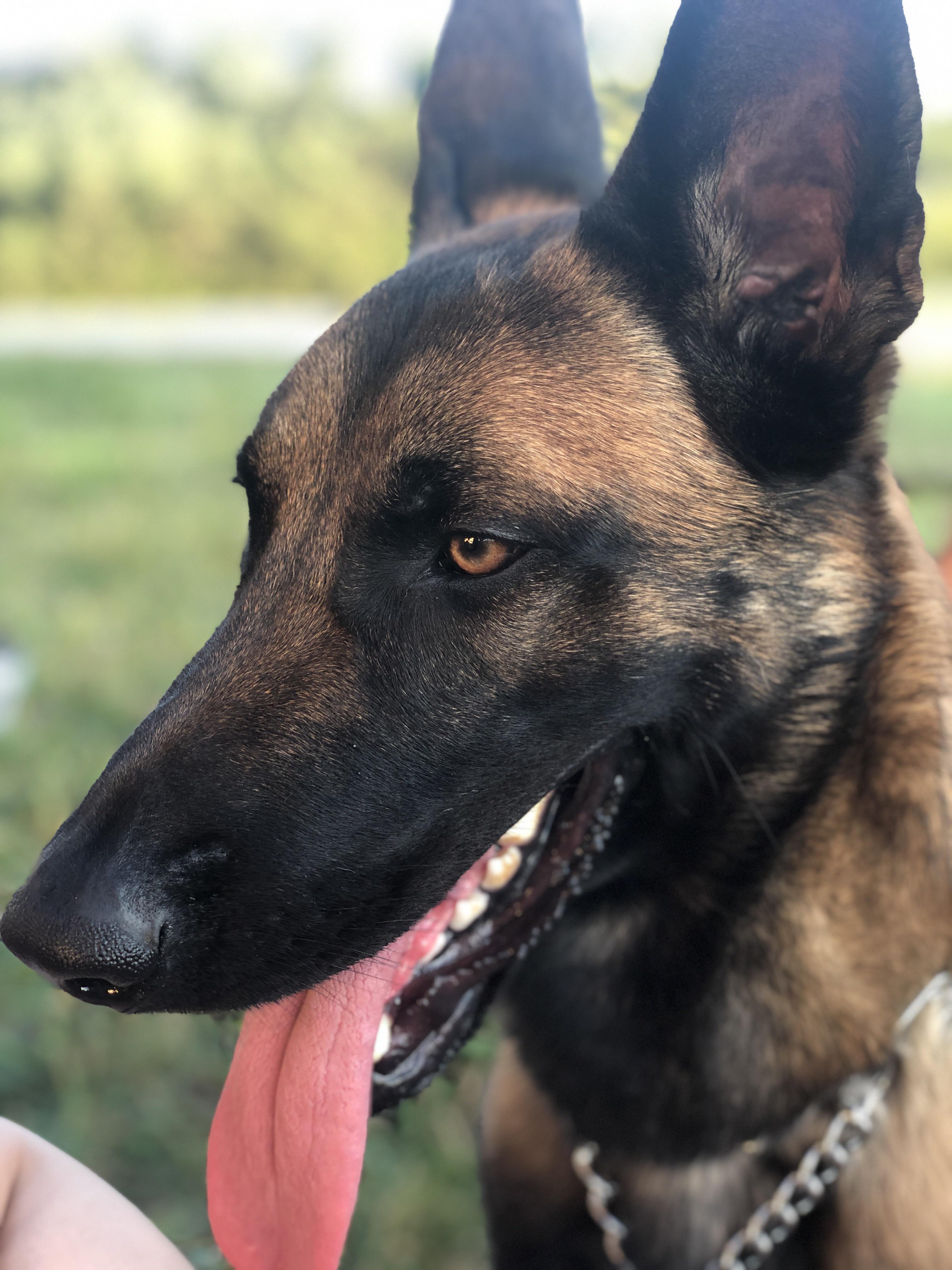 My handsome boy ️ Fred | Scrolller