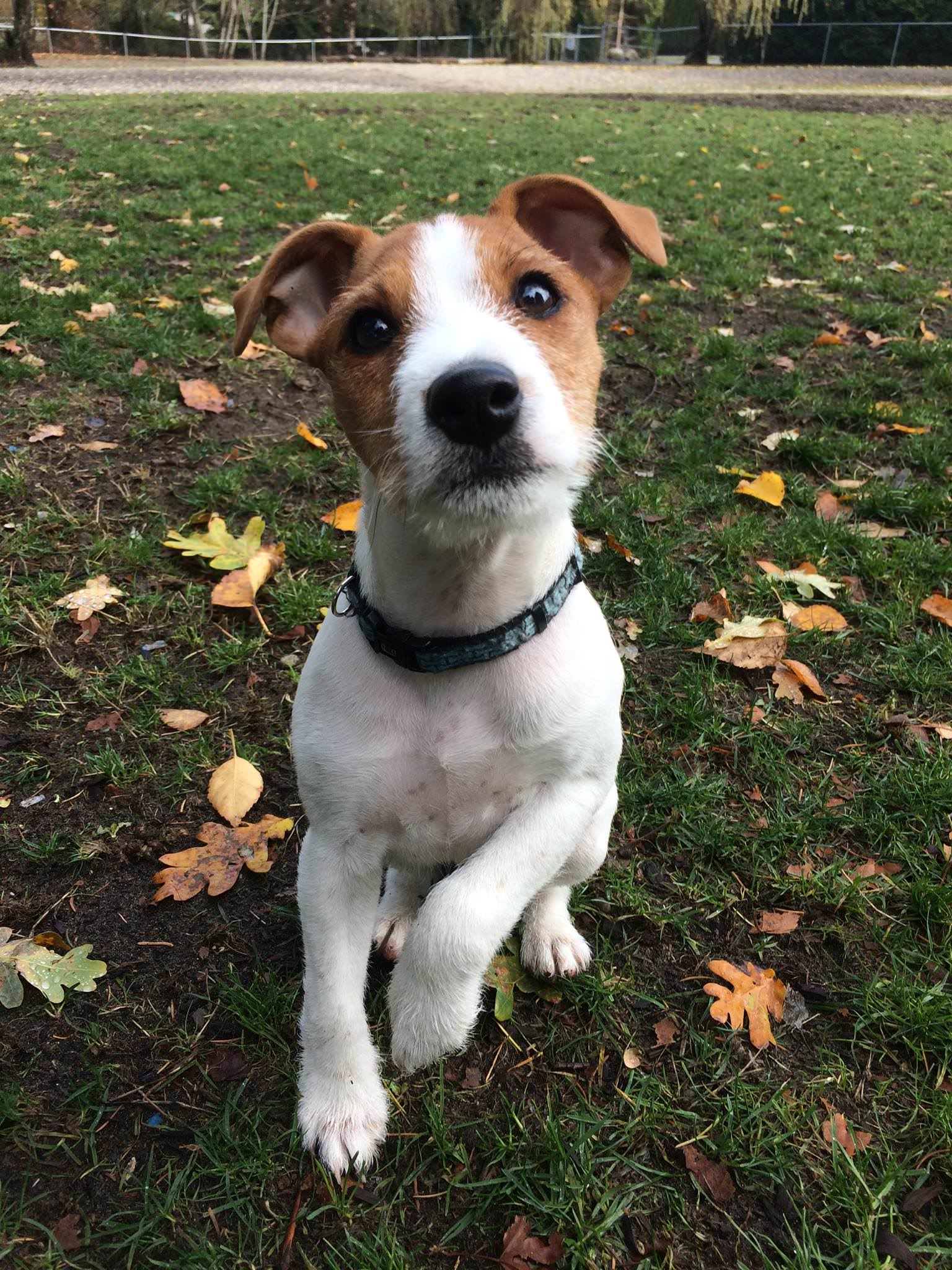 My handsome Jack | Scrolller