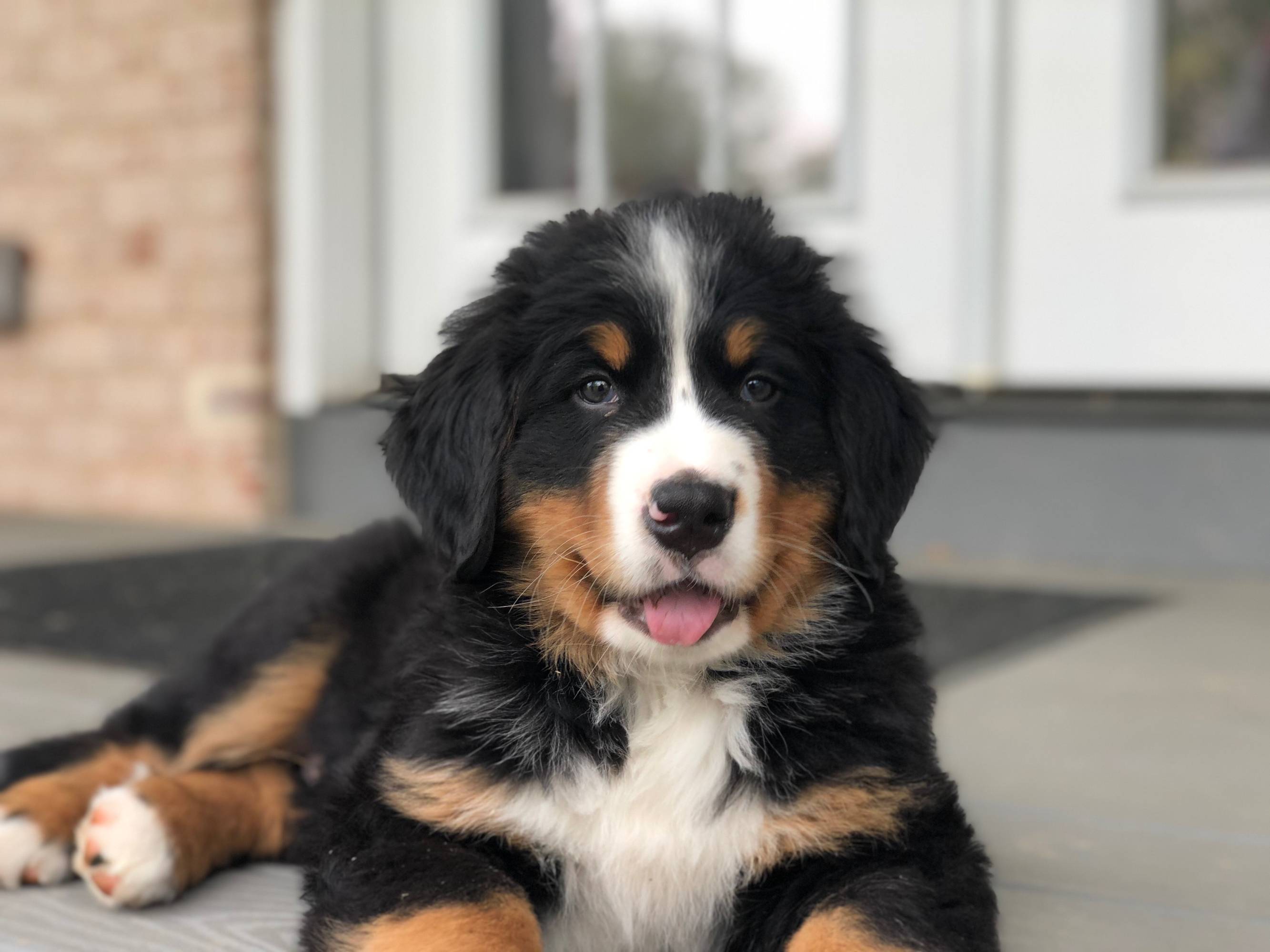 My handsome little boy, Zuko | Scrolller