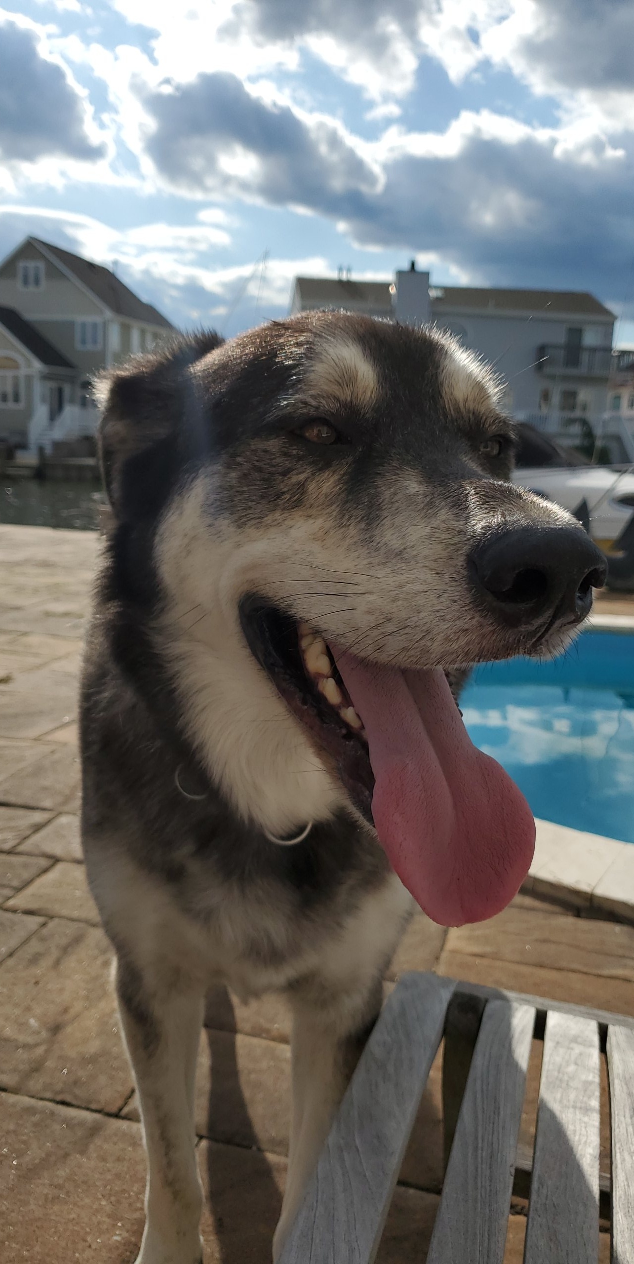 My handsome mans | Scrolller