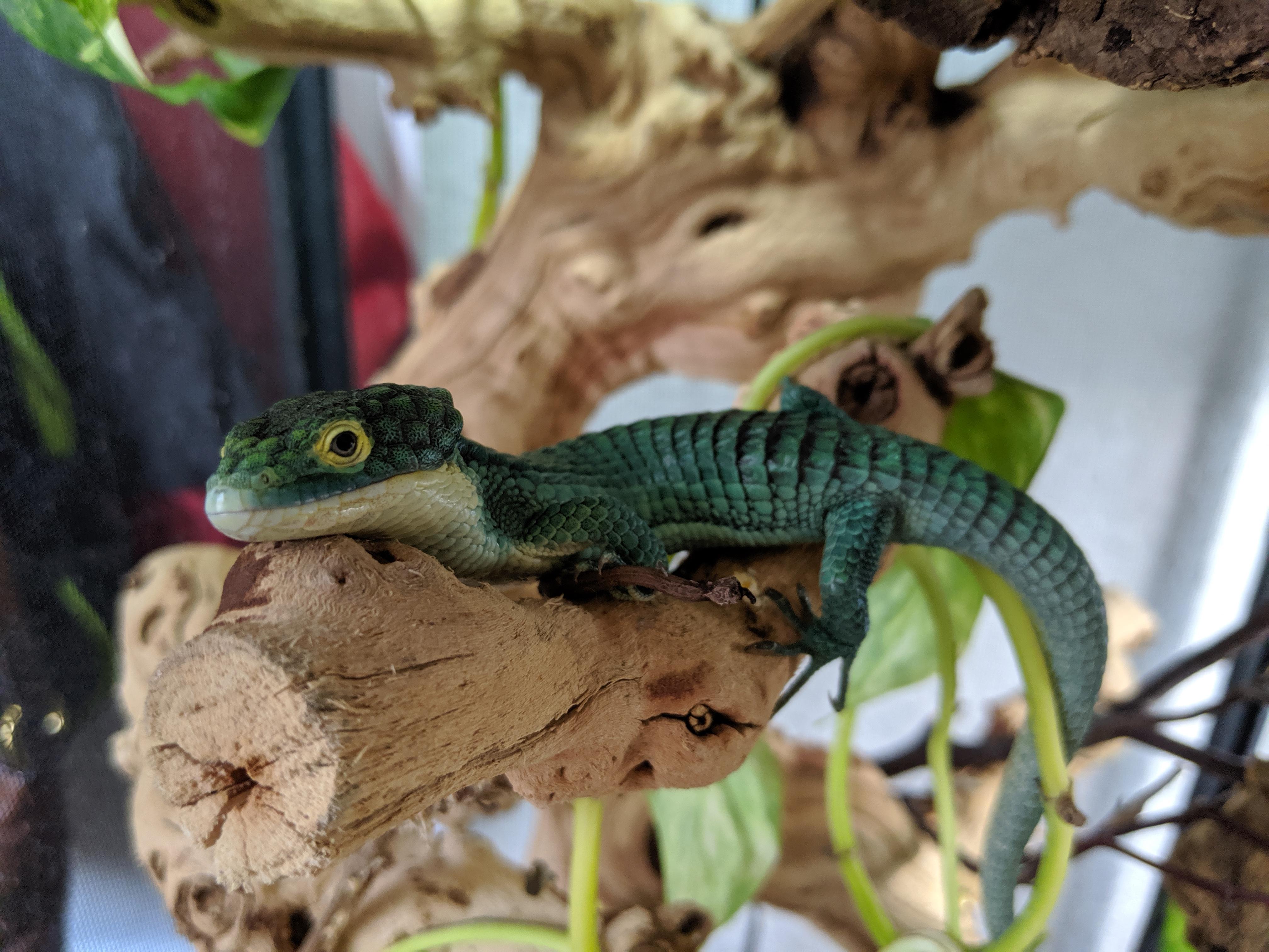 My handsome son ️ | Scrolller