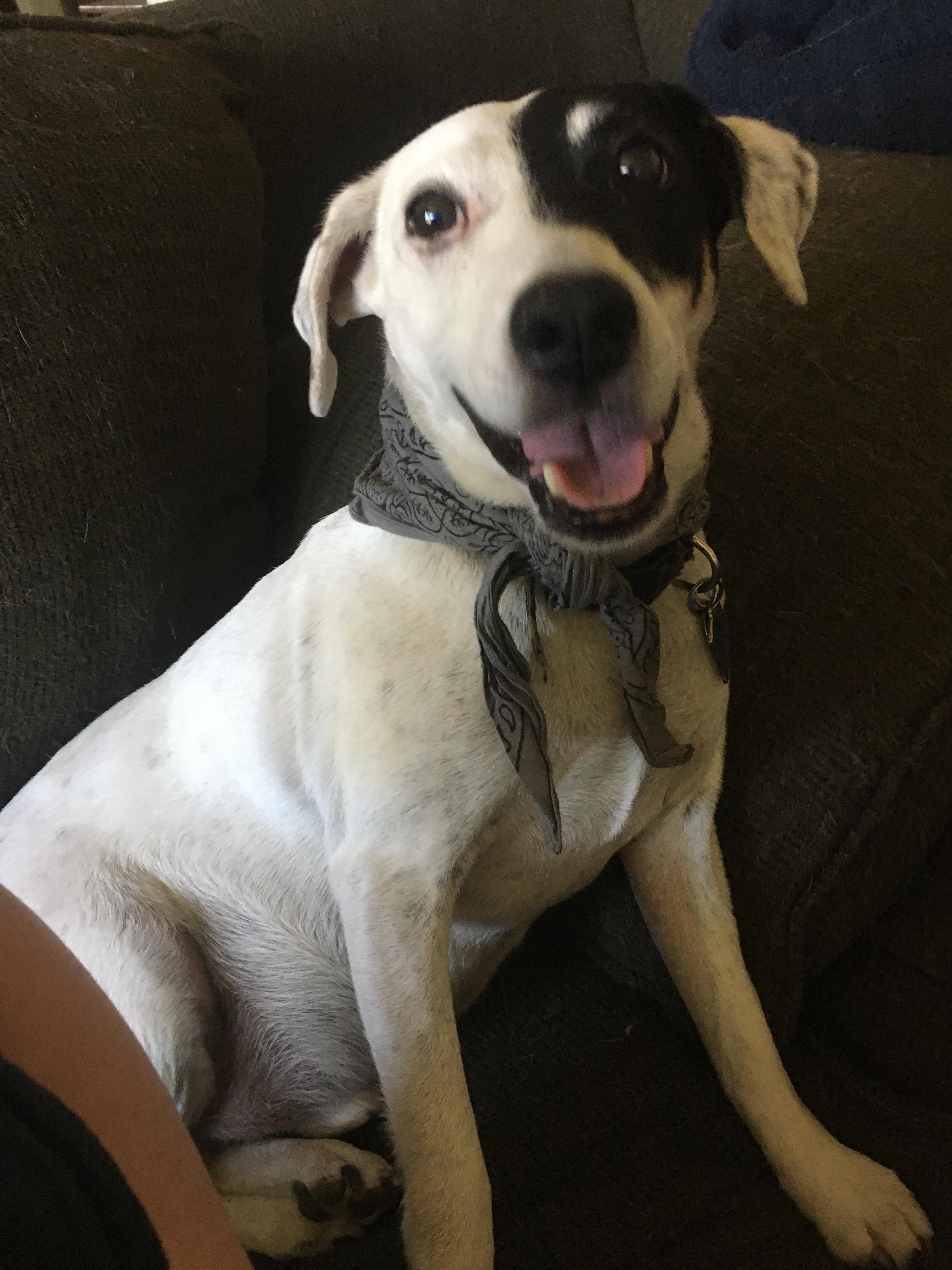 My happy old guy | Scrolller