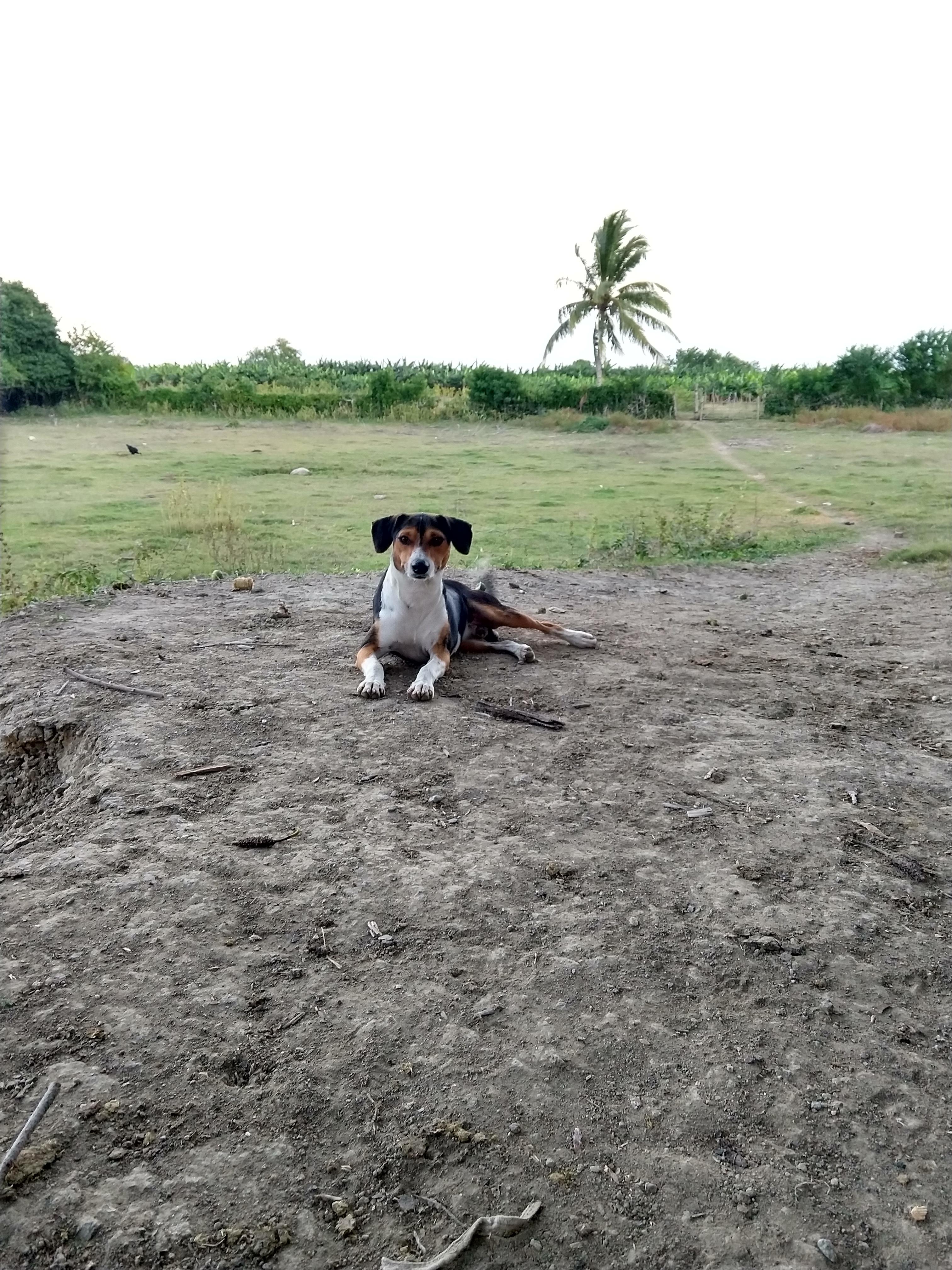 My hometown in Cuba. With Toby. | Scrolller