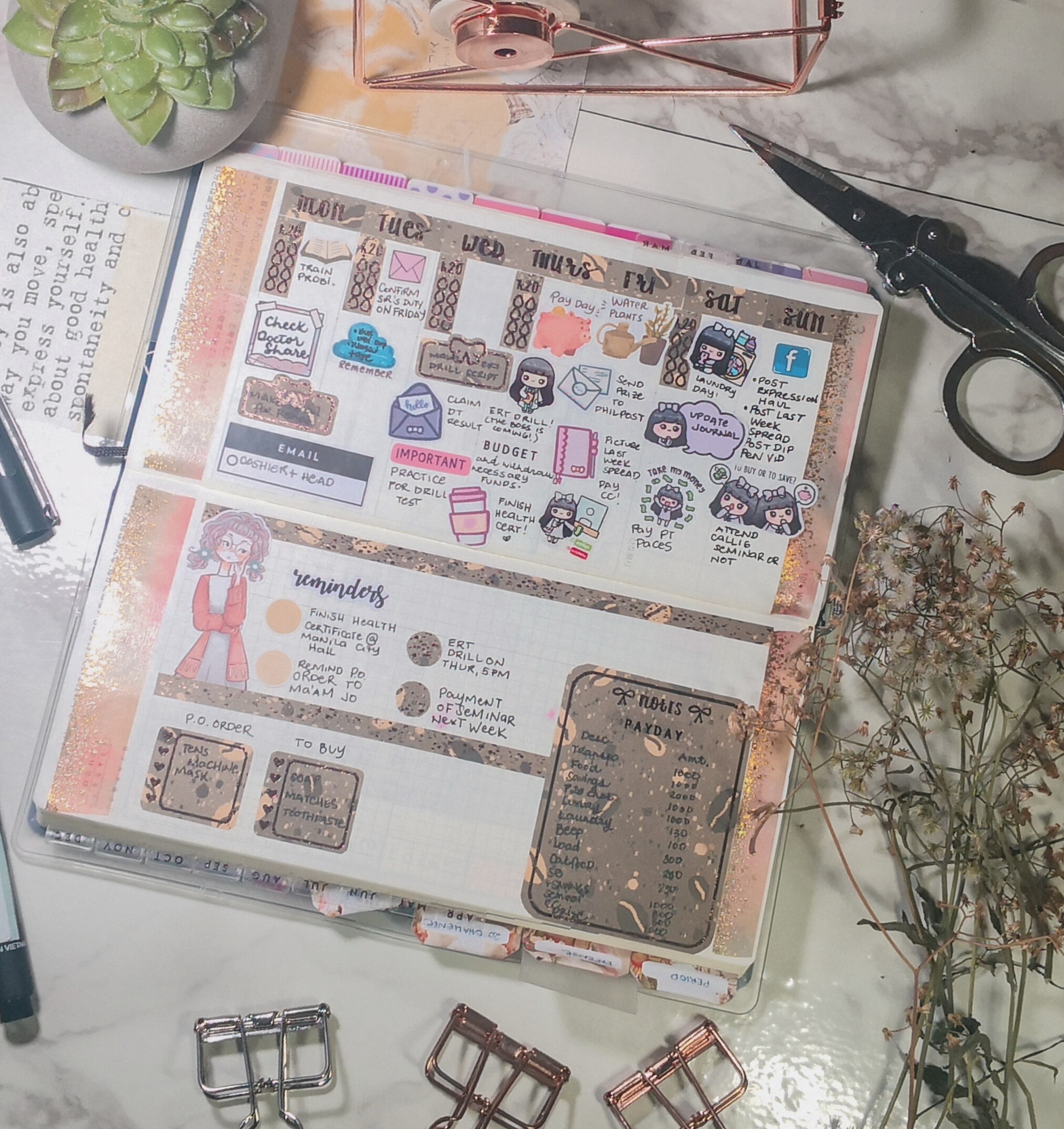 My last last week spread! Brown is 😍 | Scrolller