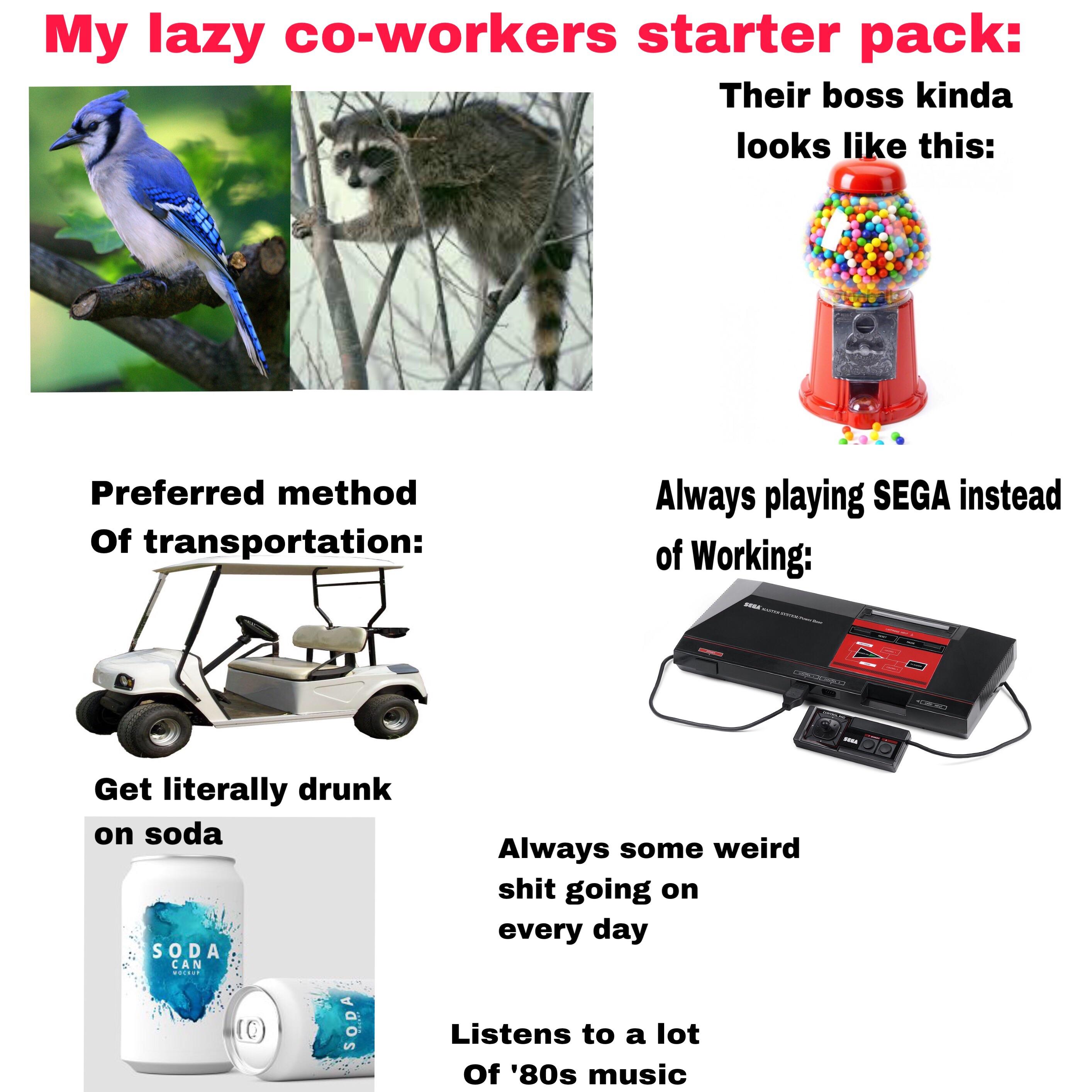 My lazy co-workers starter pack: | Scrolller