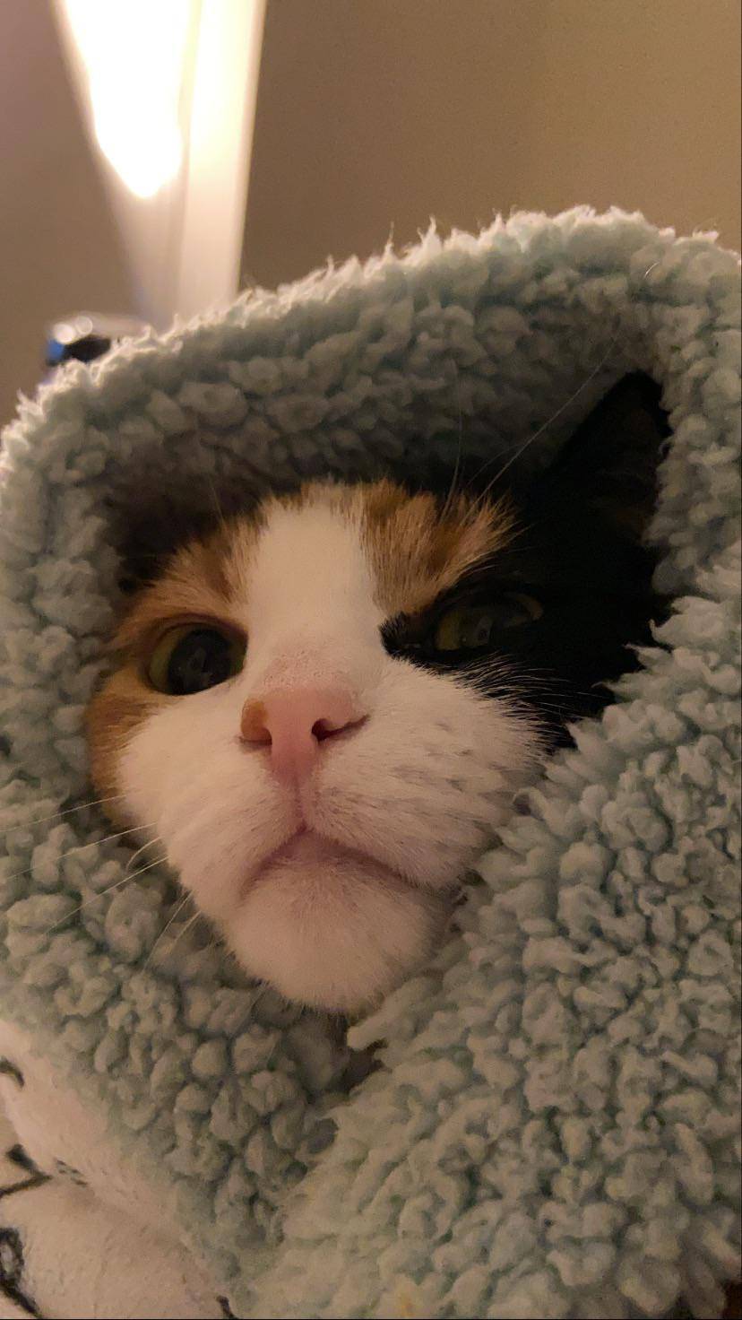 My little babushka, all ready for winter. | Scrolller