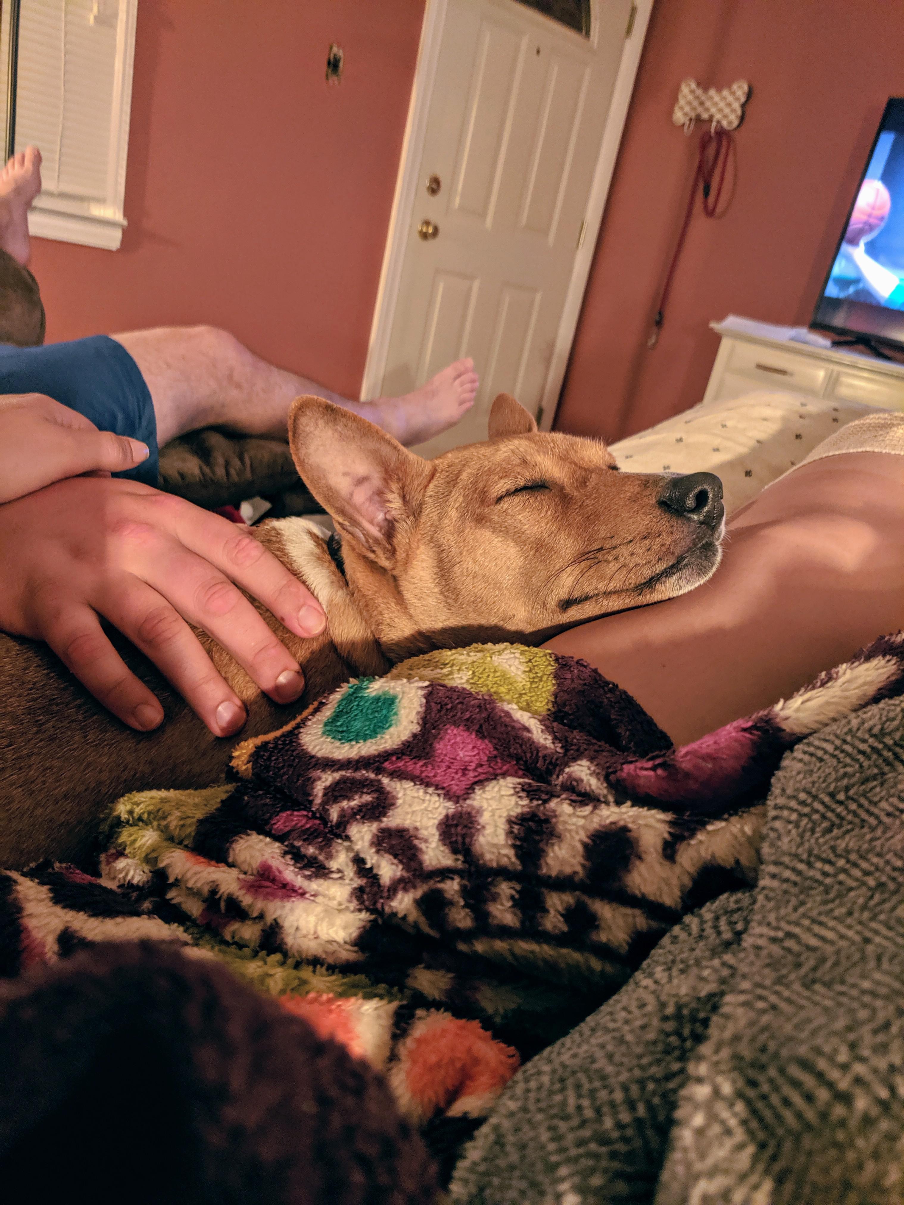 My little couch potato | Scrolller