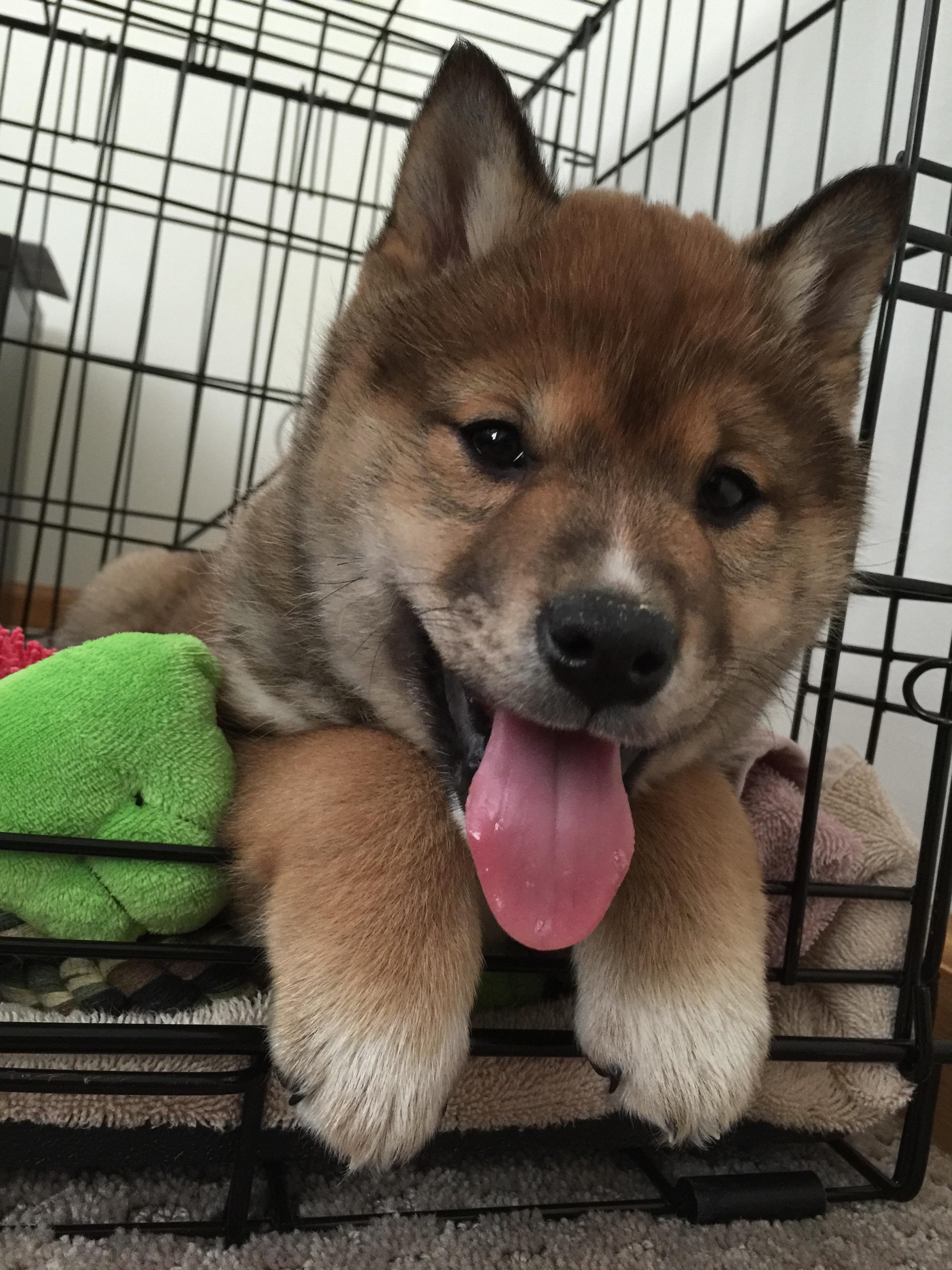 My little guy 4 years ago | Scrolller