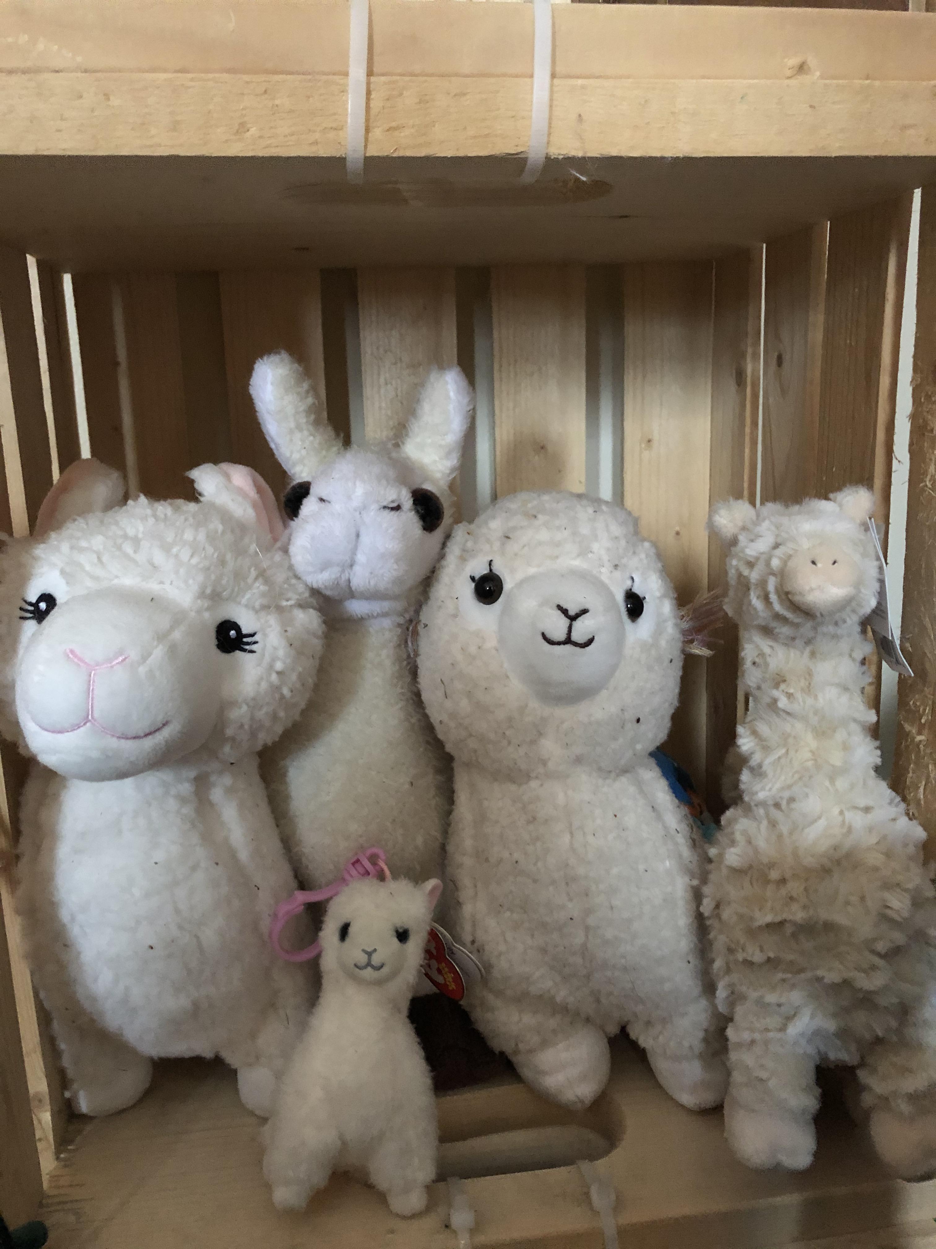 My little llama collection | Scrolller