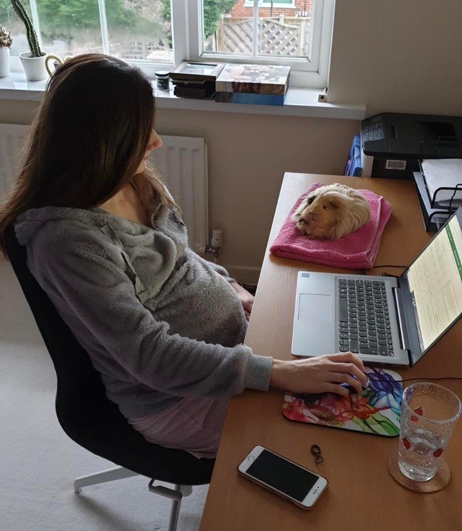 My little office assistant whilst working from home | Scrolller