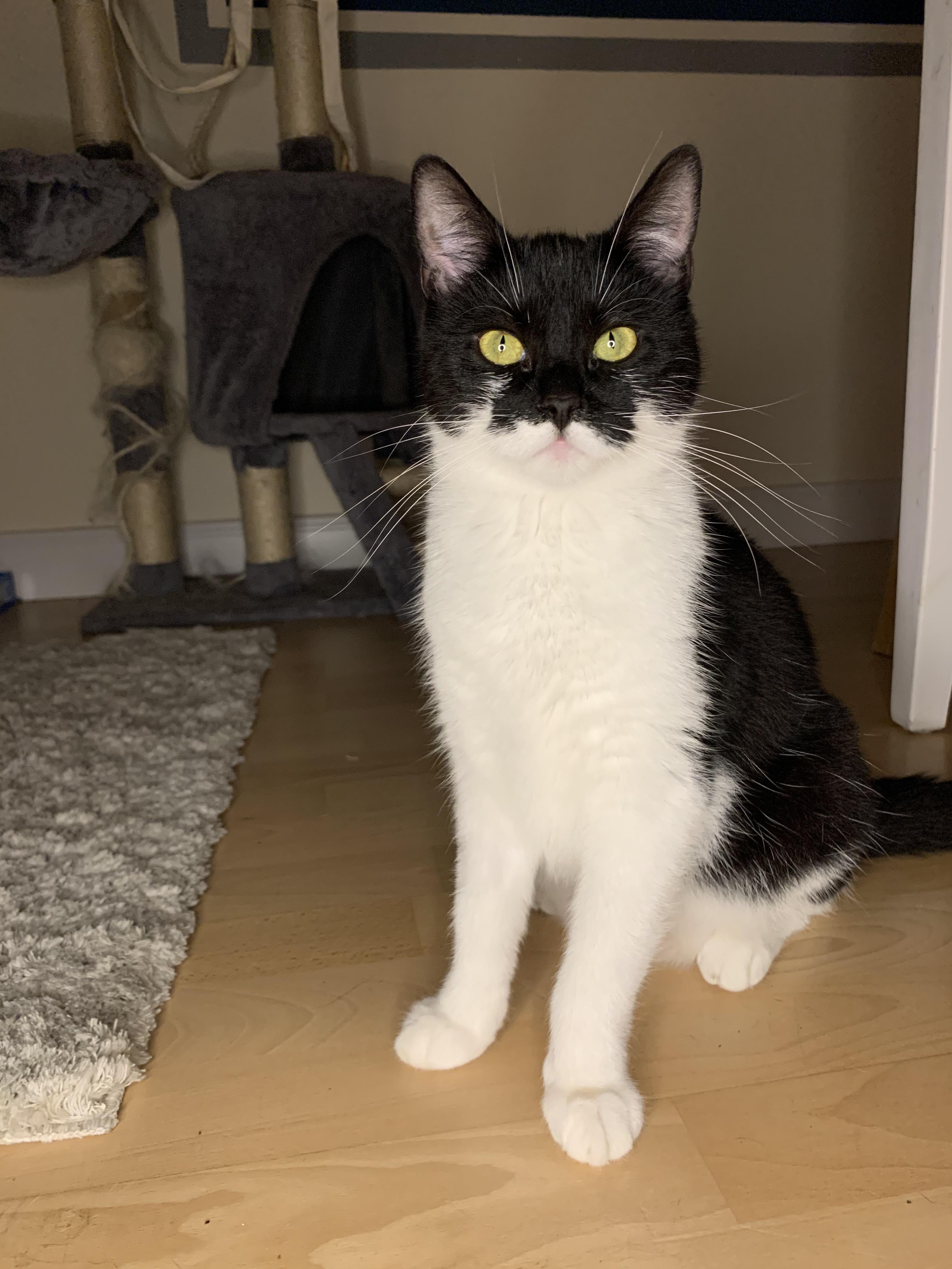 My little princess | Scrolller