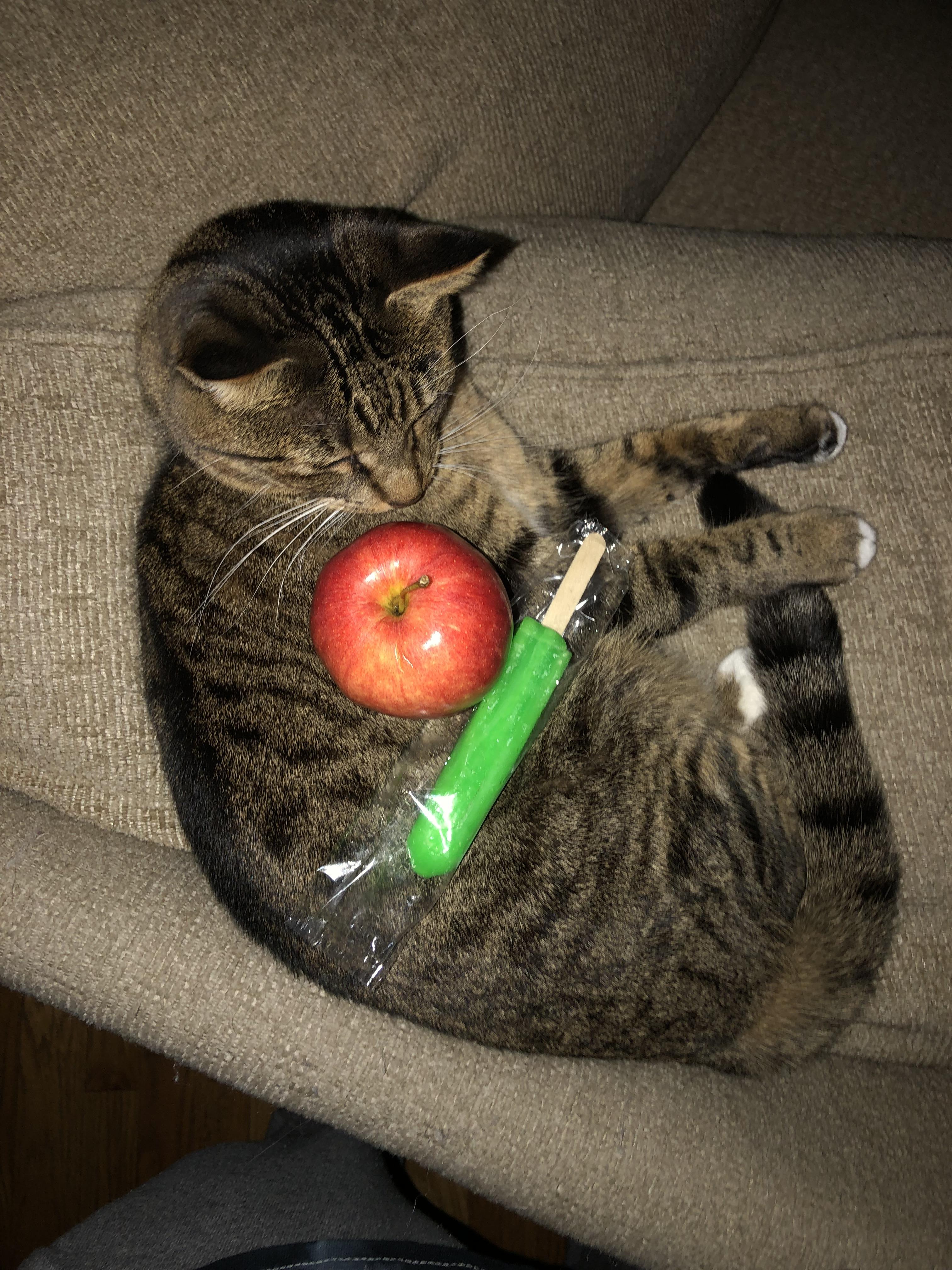 My midnight snack | Scrolller