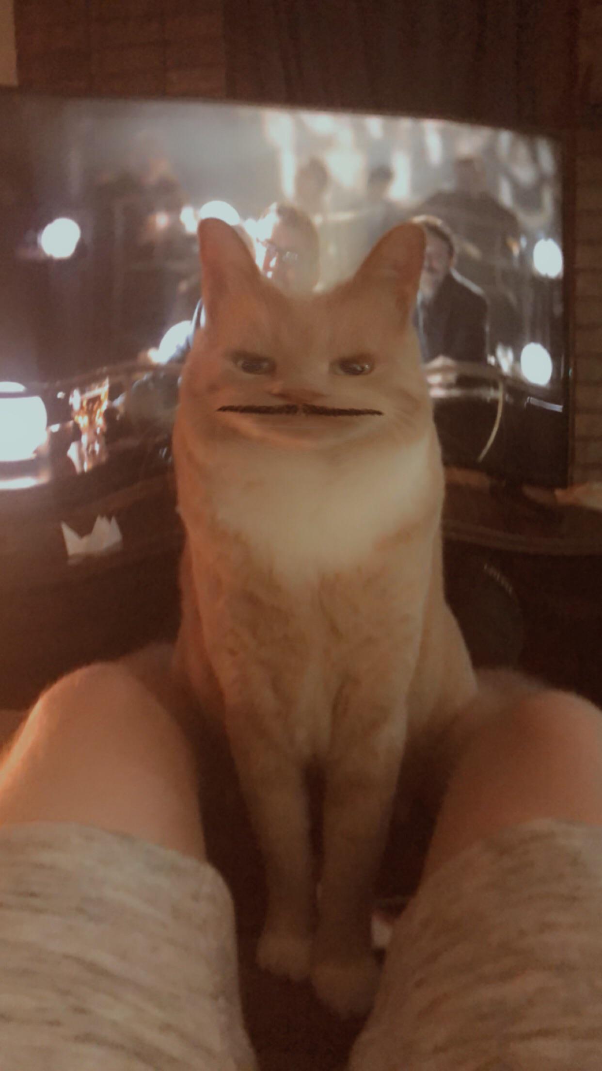 My Mr.Pooh Bear ️😄🤣 | Scrolller