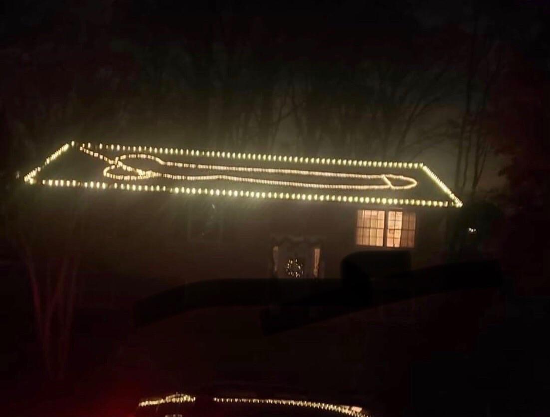 My neighbor has some balls with their 2020 lights | Scrolller