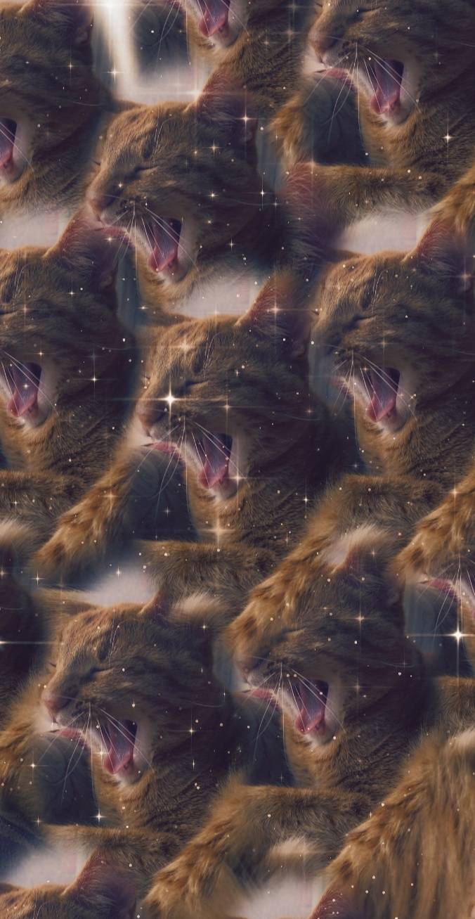 My new homescreen picture | Scrolller