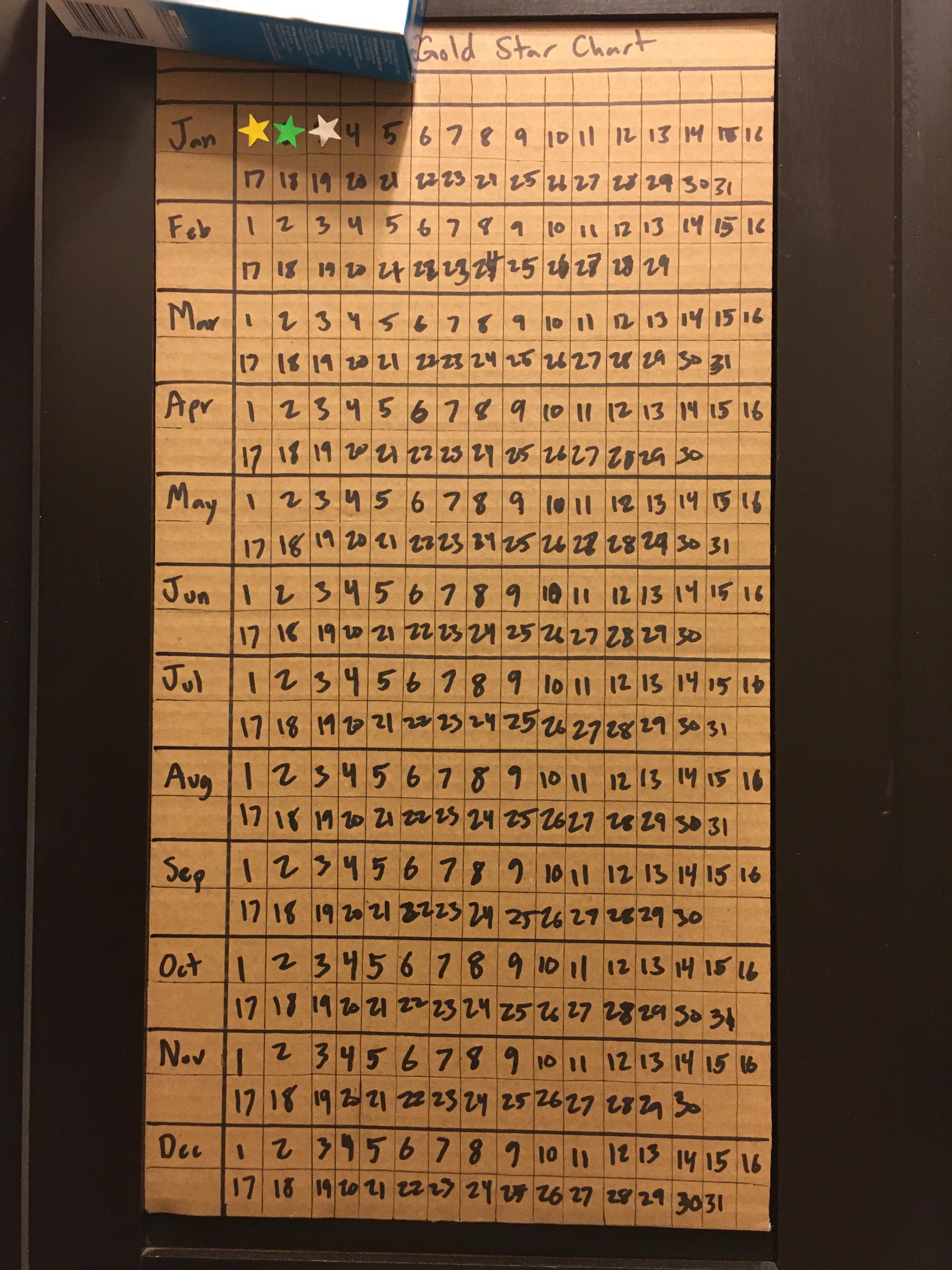 My New Year's Resolution tracking chart, because what's a better ...