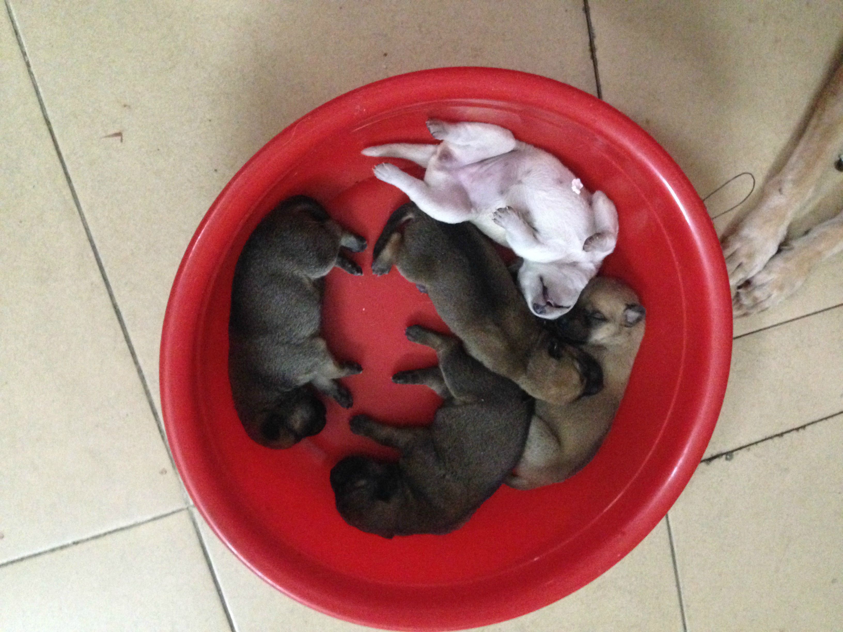 My newborn babies !!! | Scrolller