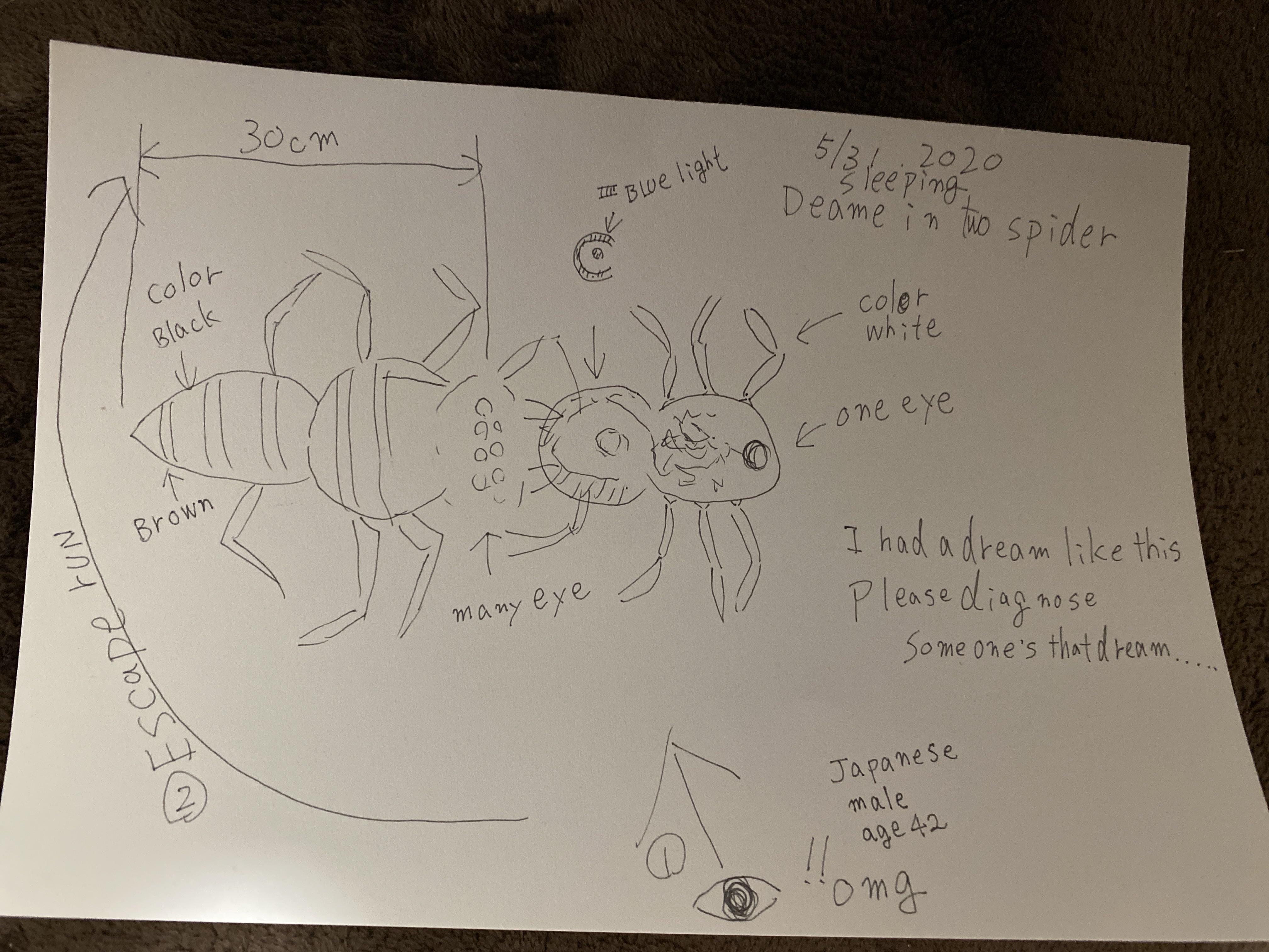 My nightmare | Scrolller