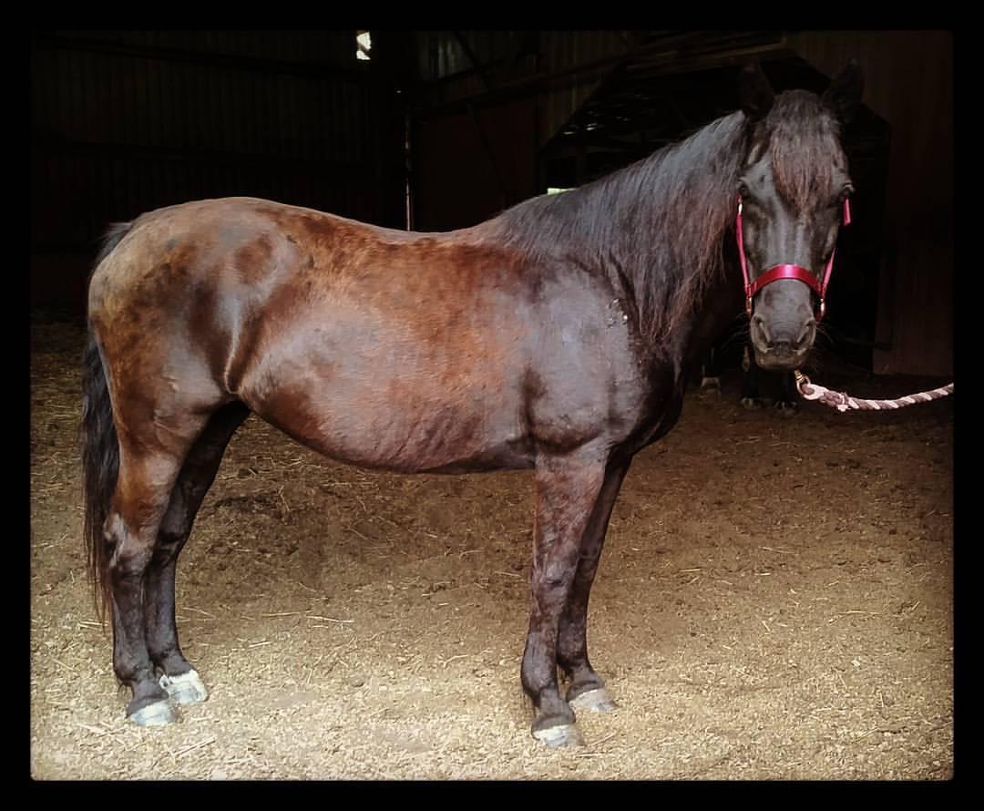 My noodle just turned 22! | Scrolller