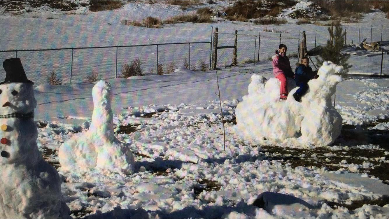 My parents helped us build a “rocket ship” | Scrolller