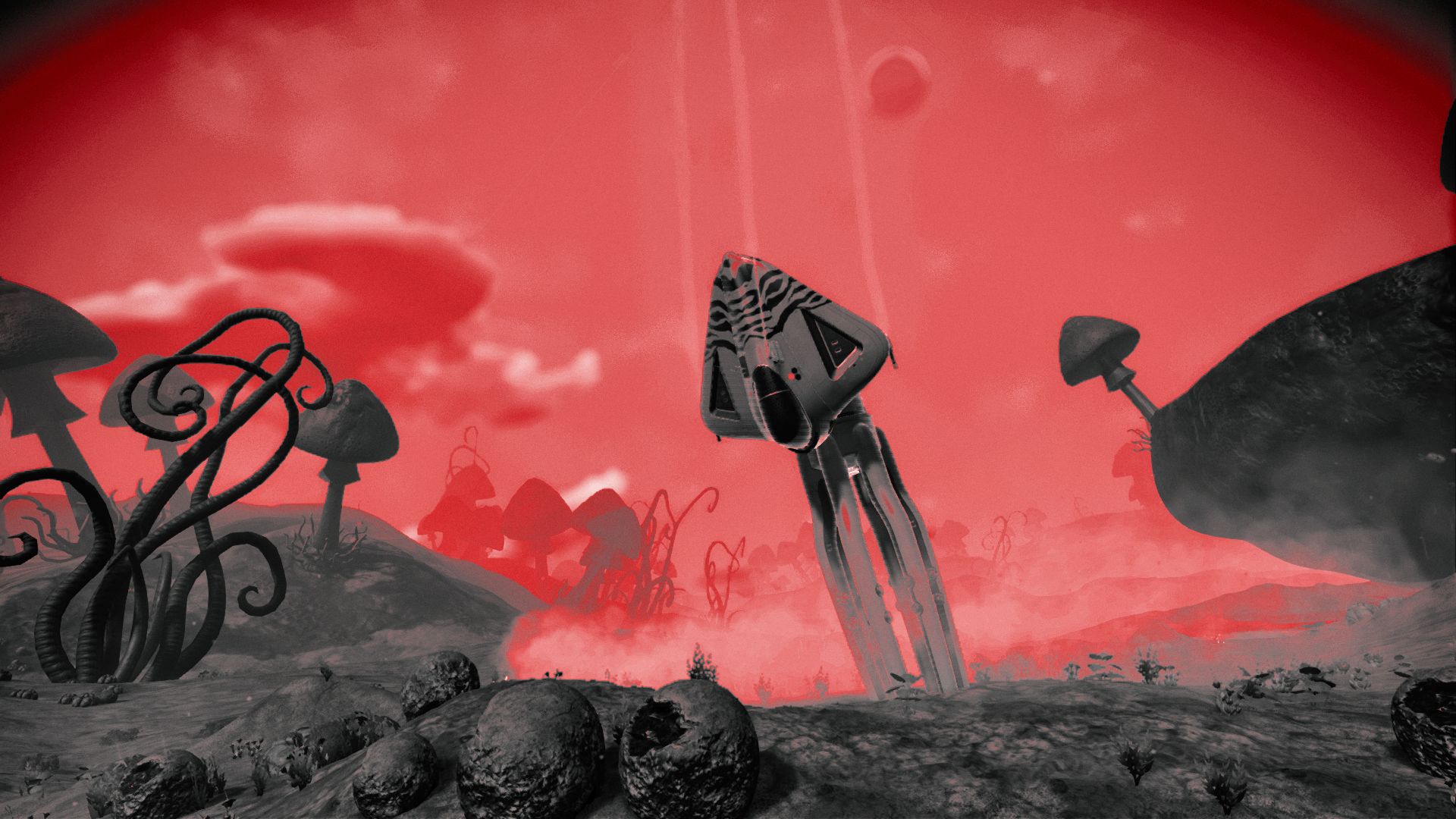 My place | Scrolller