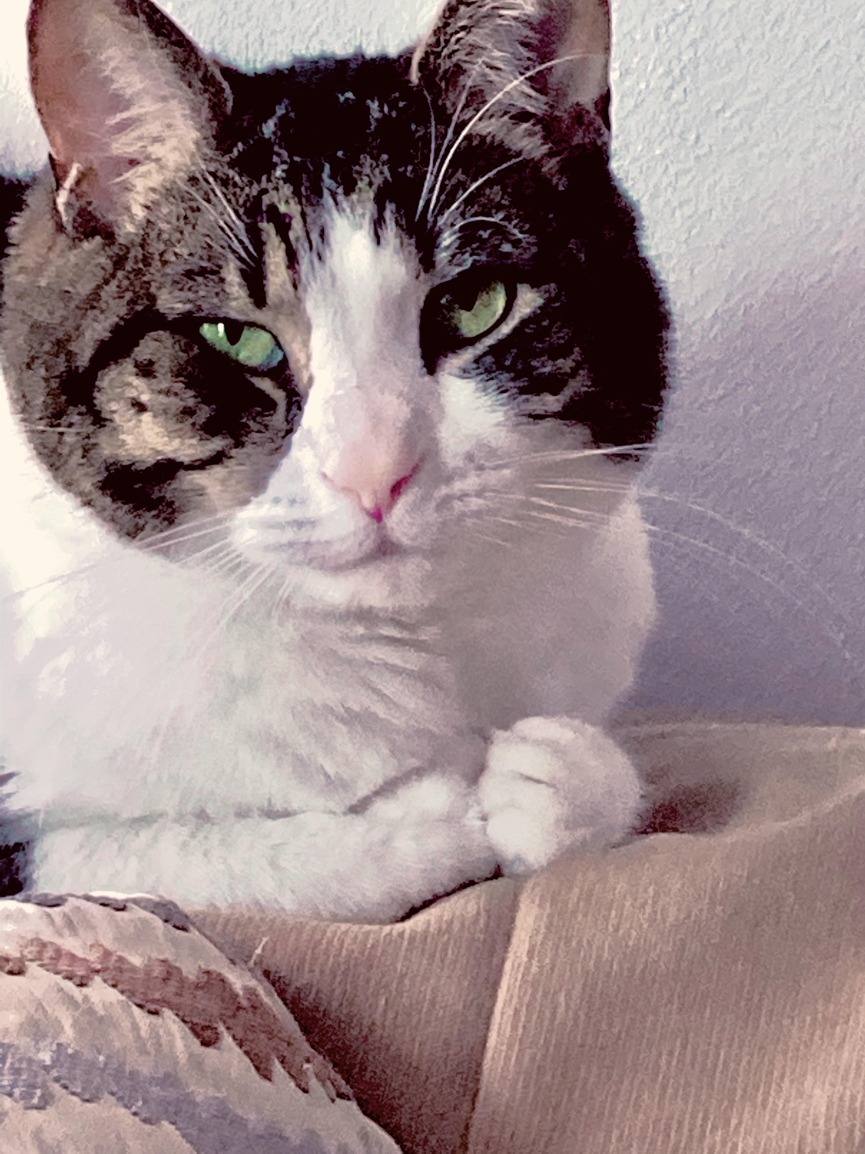 My polite boy... | Scrolller