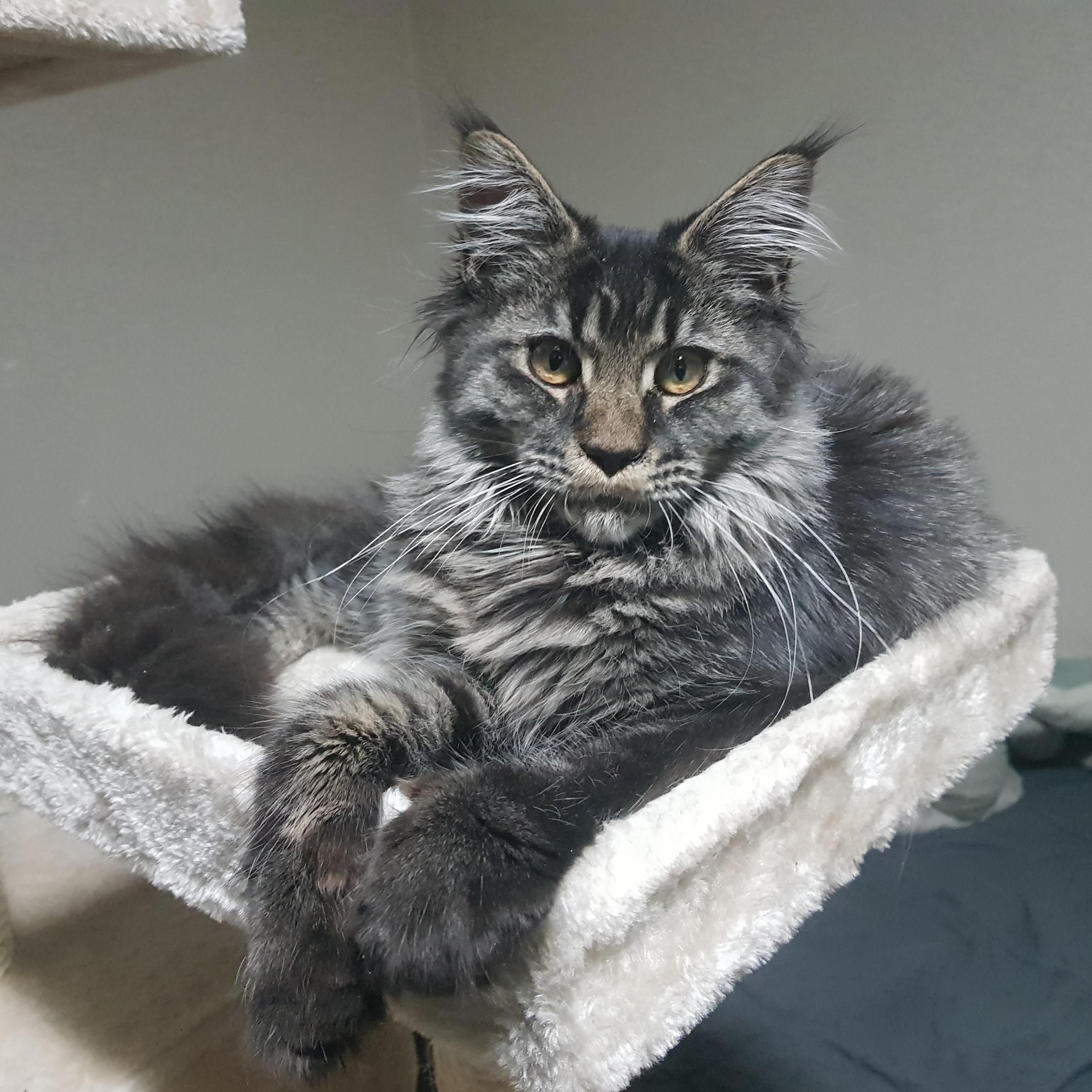 My pride and joy Megumi | Scrolller