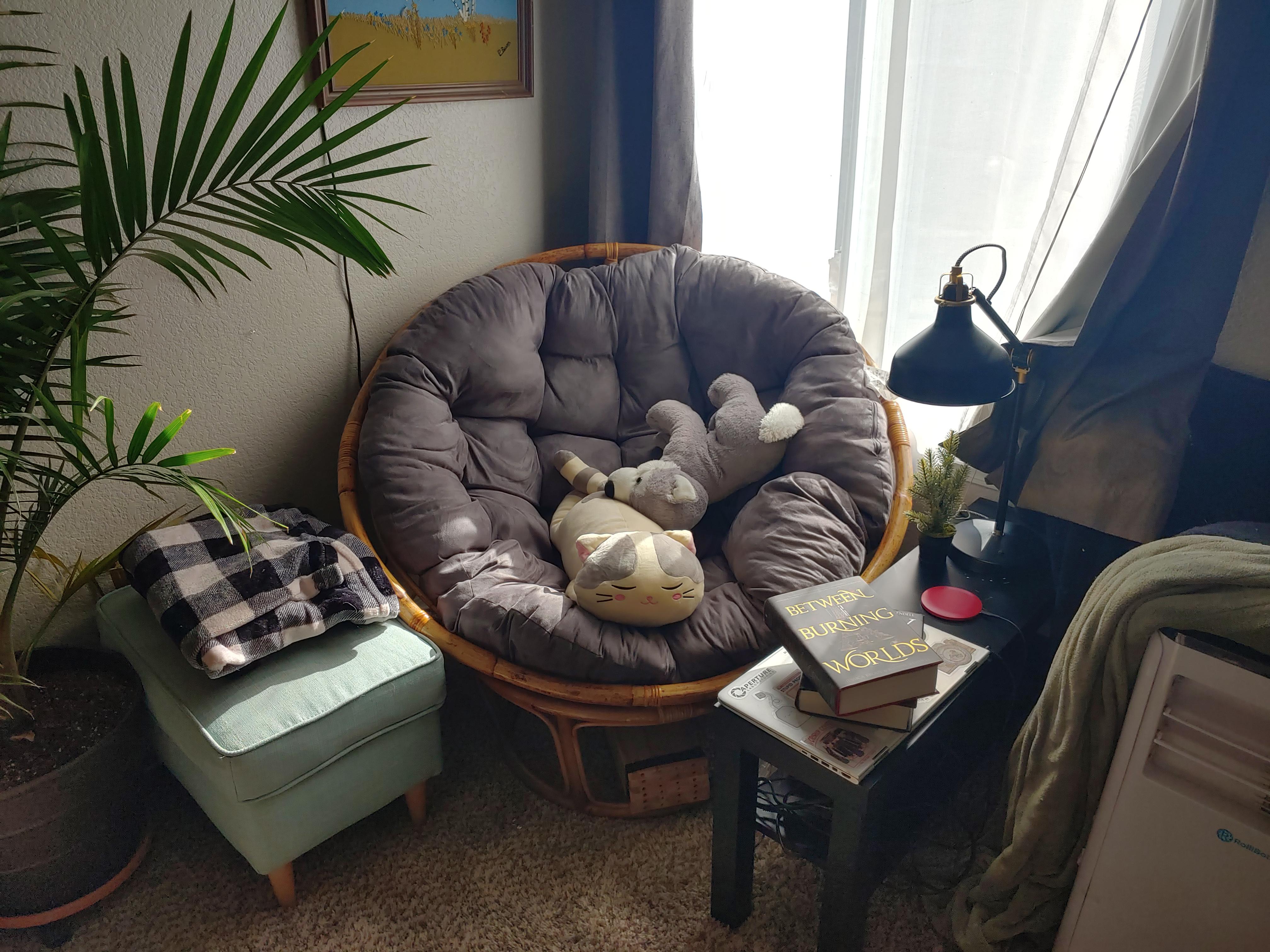 My reading corner | Scrolller