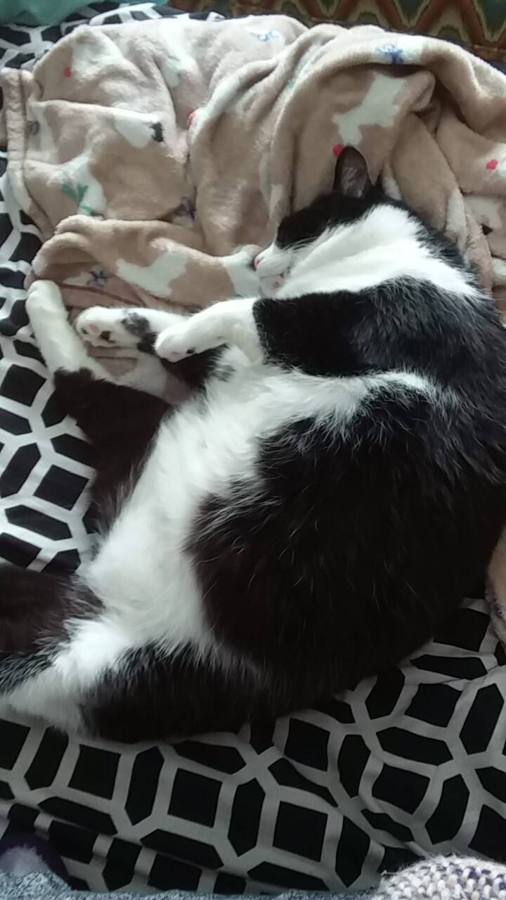 My rotund son Bubbies | Scrolller