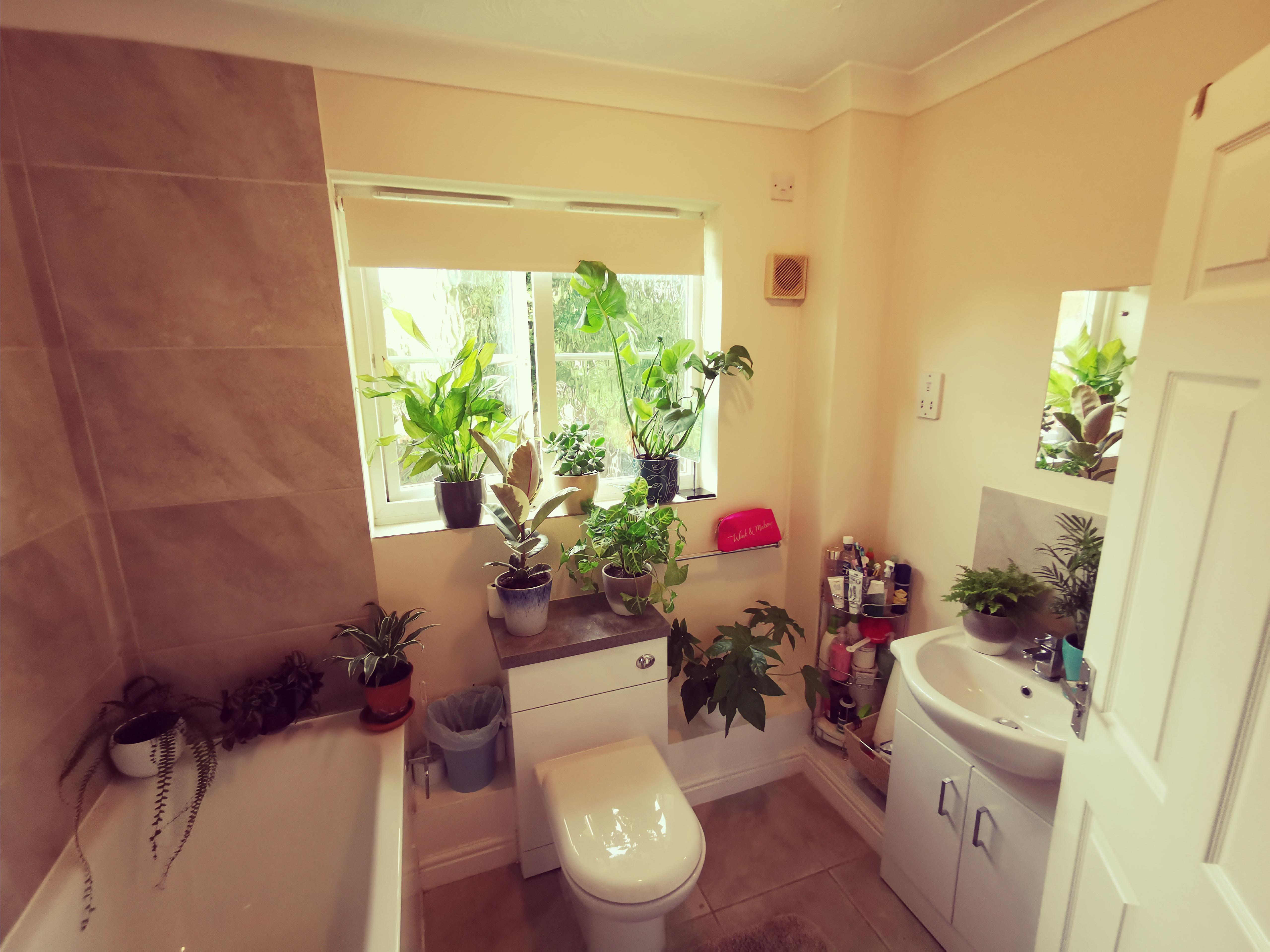 My sanctuary | Scrolller