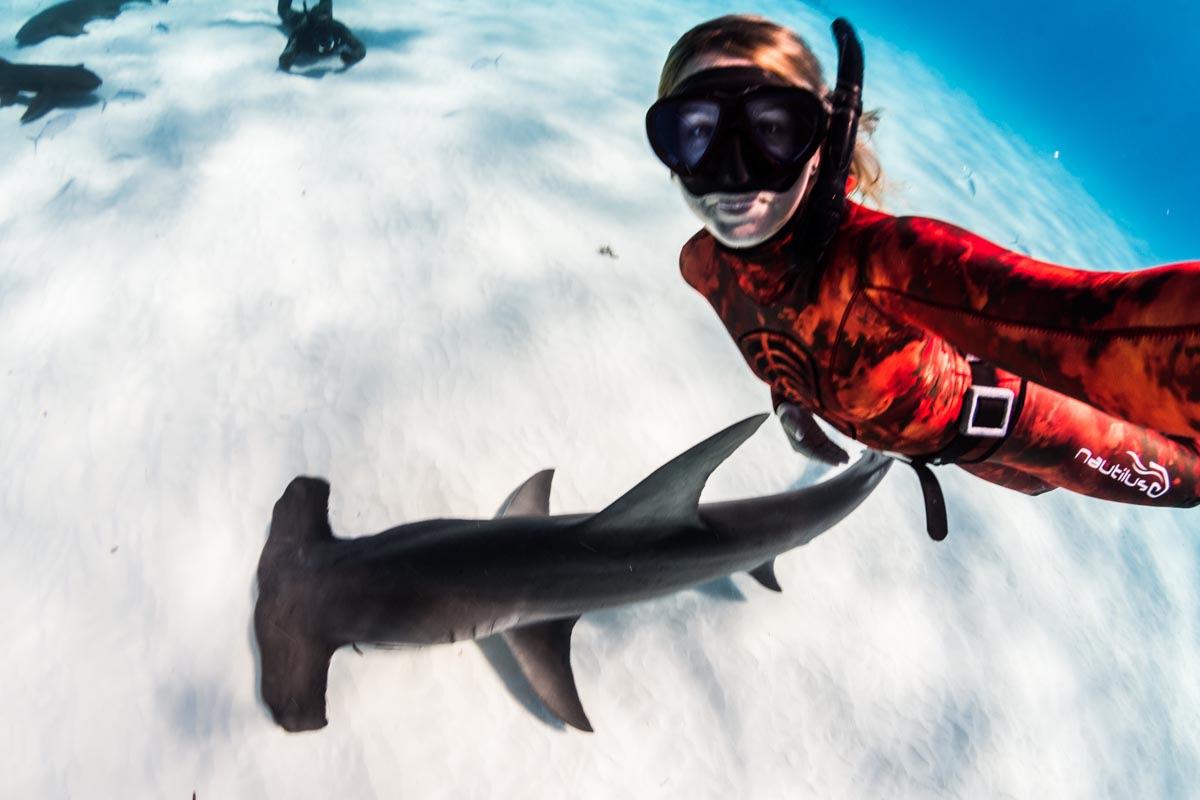My selfie with a great hammerhead. | Scrolller