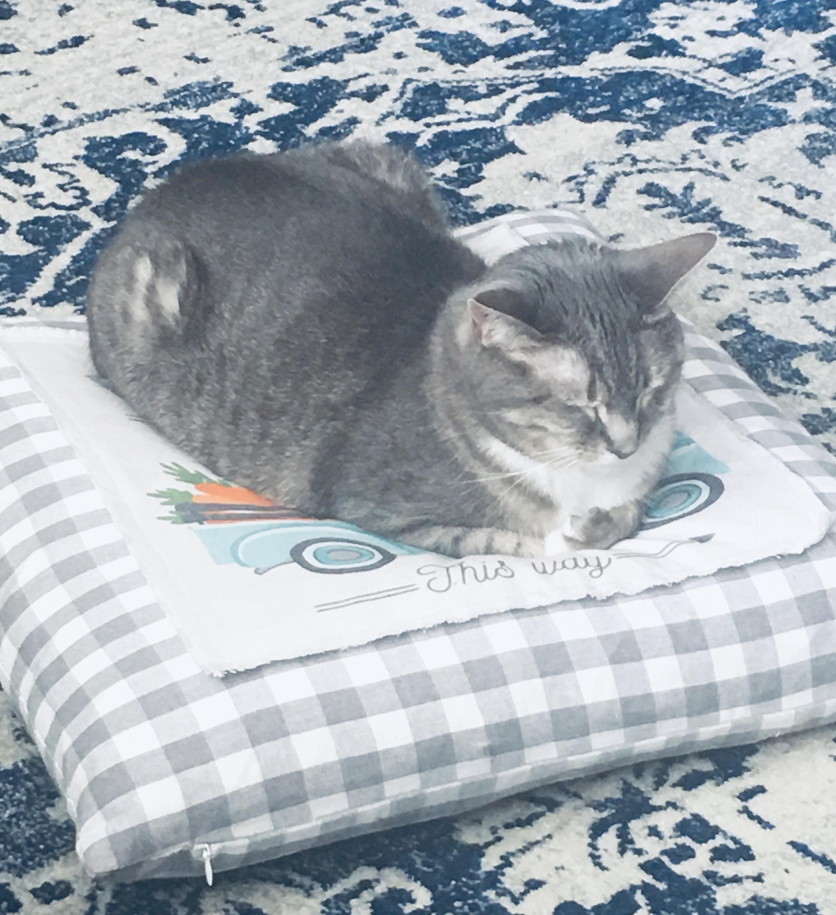 My sister’s Sunday Morning Loaf | Scrolller