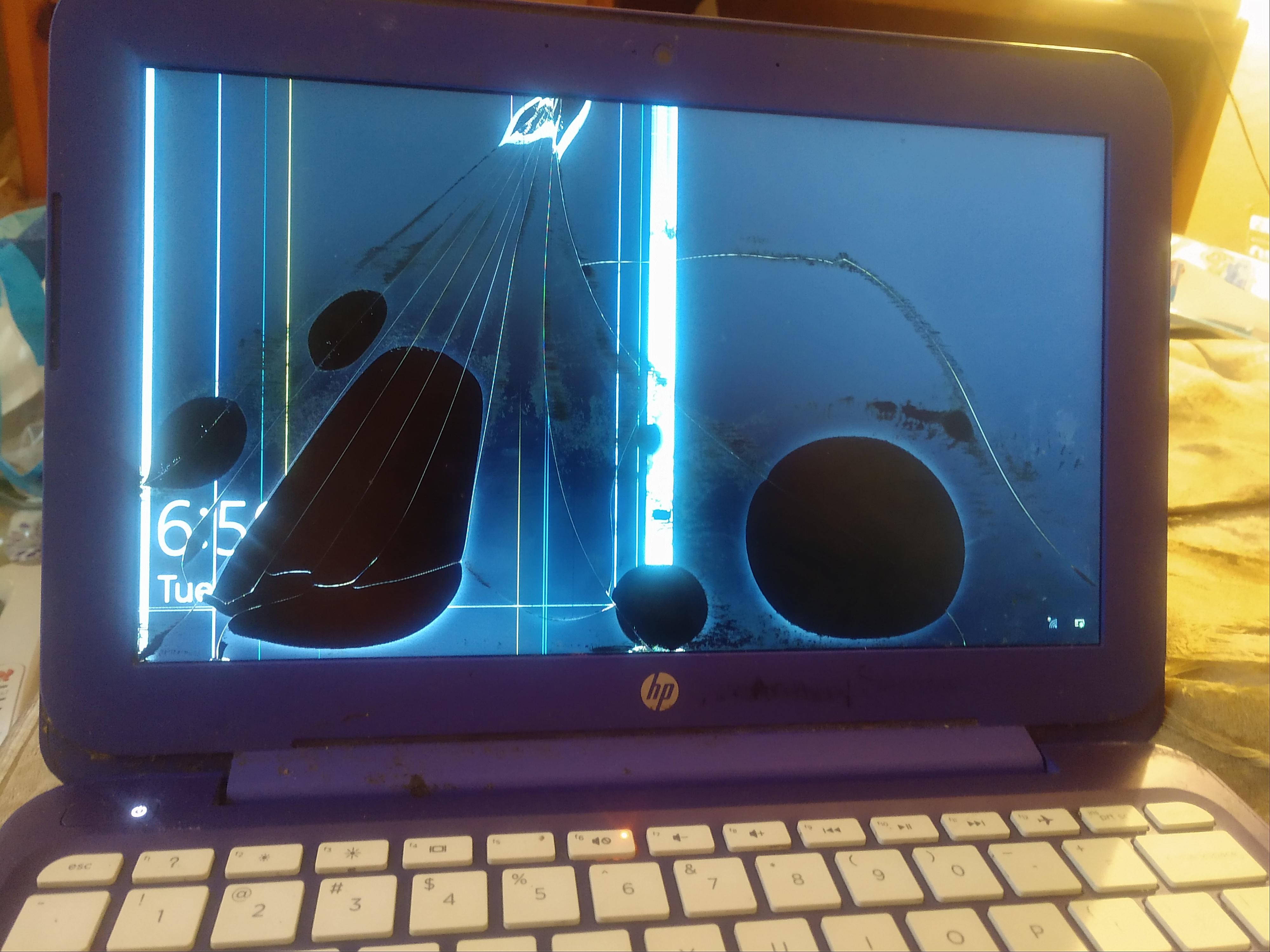 My sister sat on my laptop | Scrolller