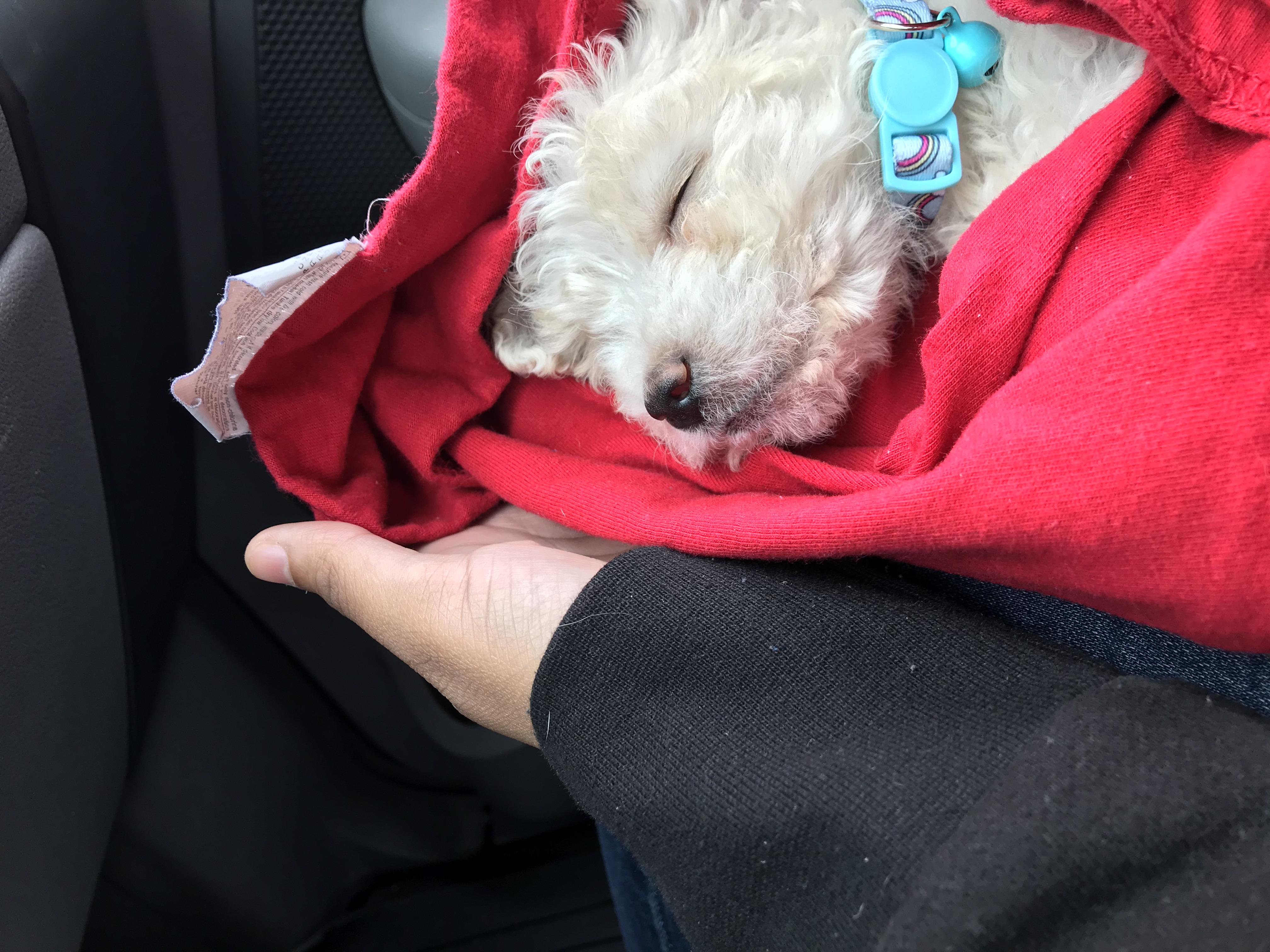 My sleepy boy ️ | Scrolller